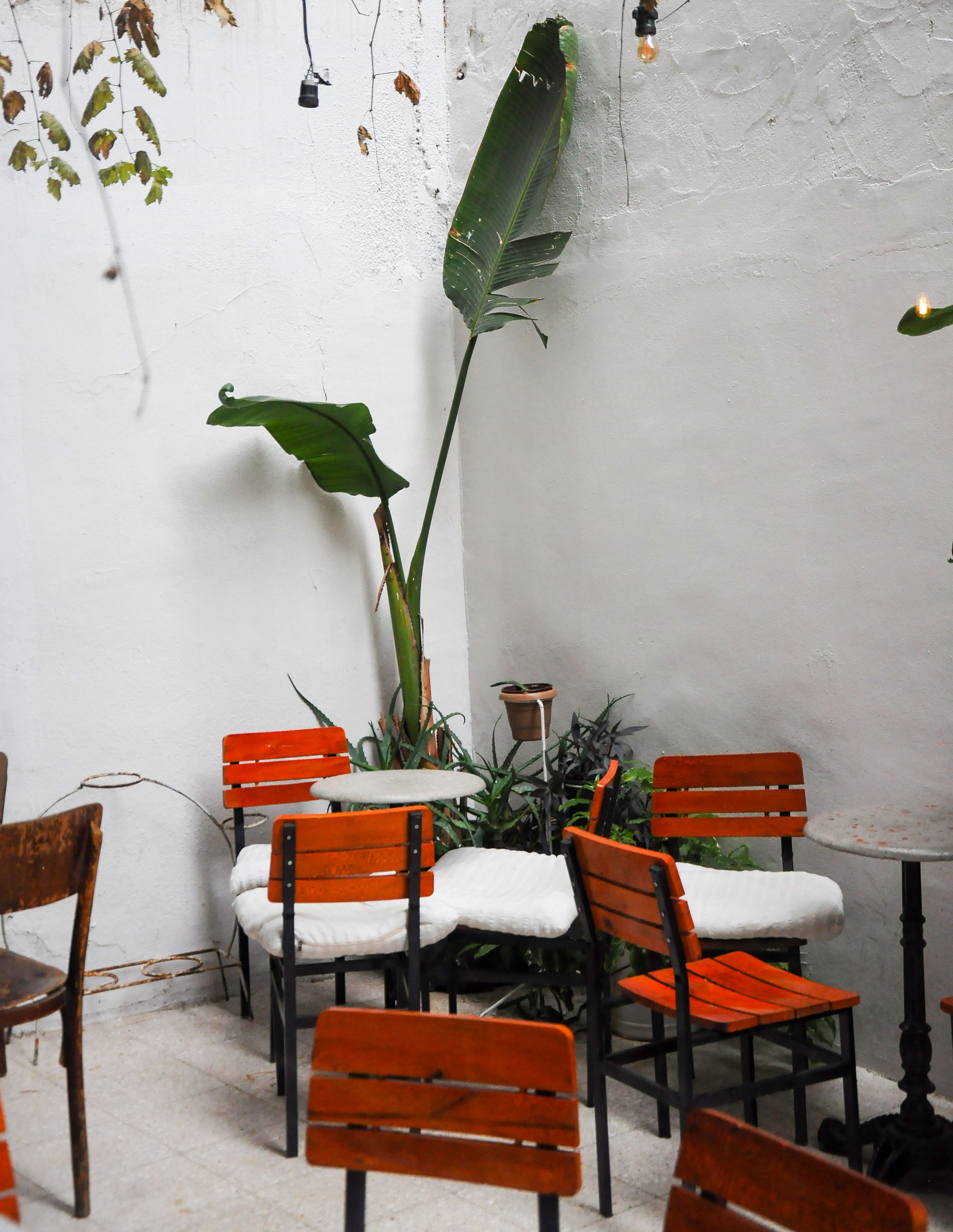 Firdevs Gülşahin – Fotografia