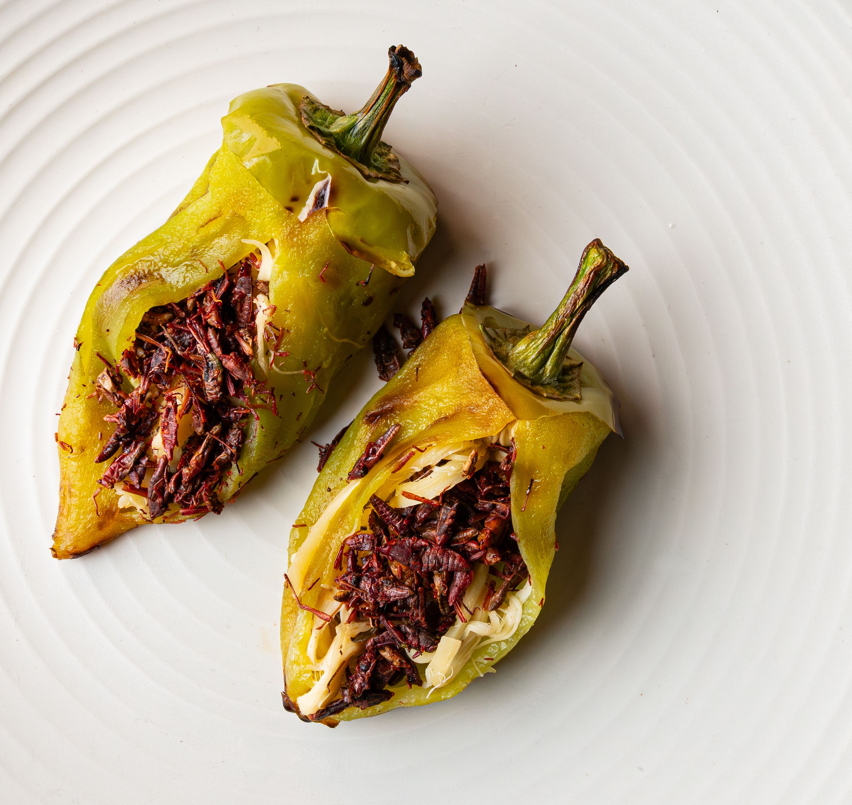 Chile con chapulines · Free Stock Photo
