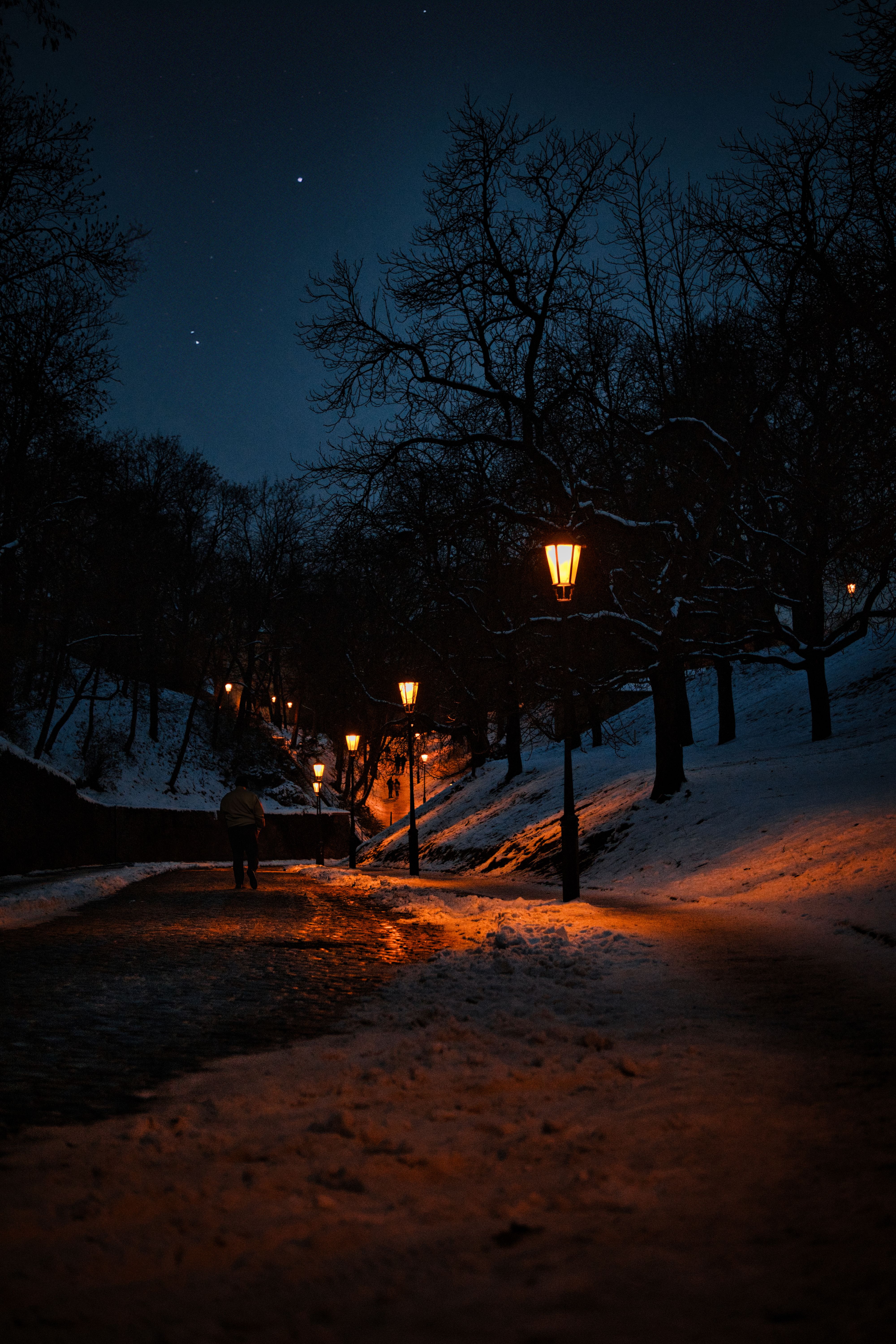 Enchanting Winter Night Walk in a Snowy Park · Free Stock Photo