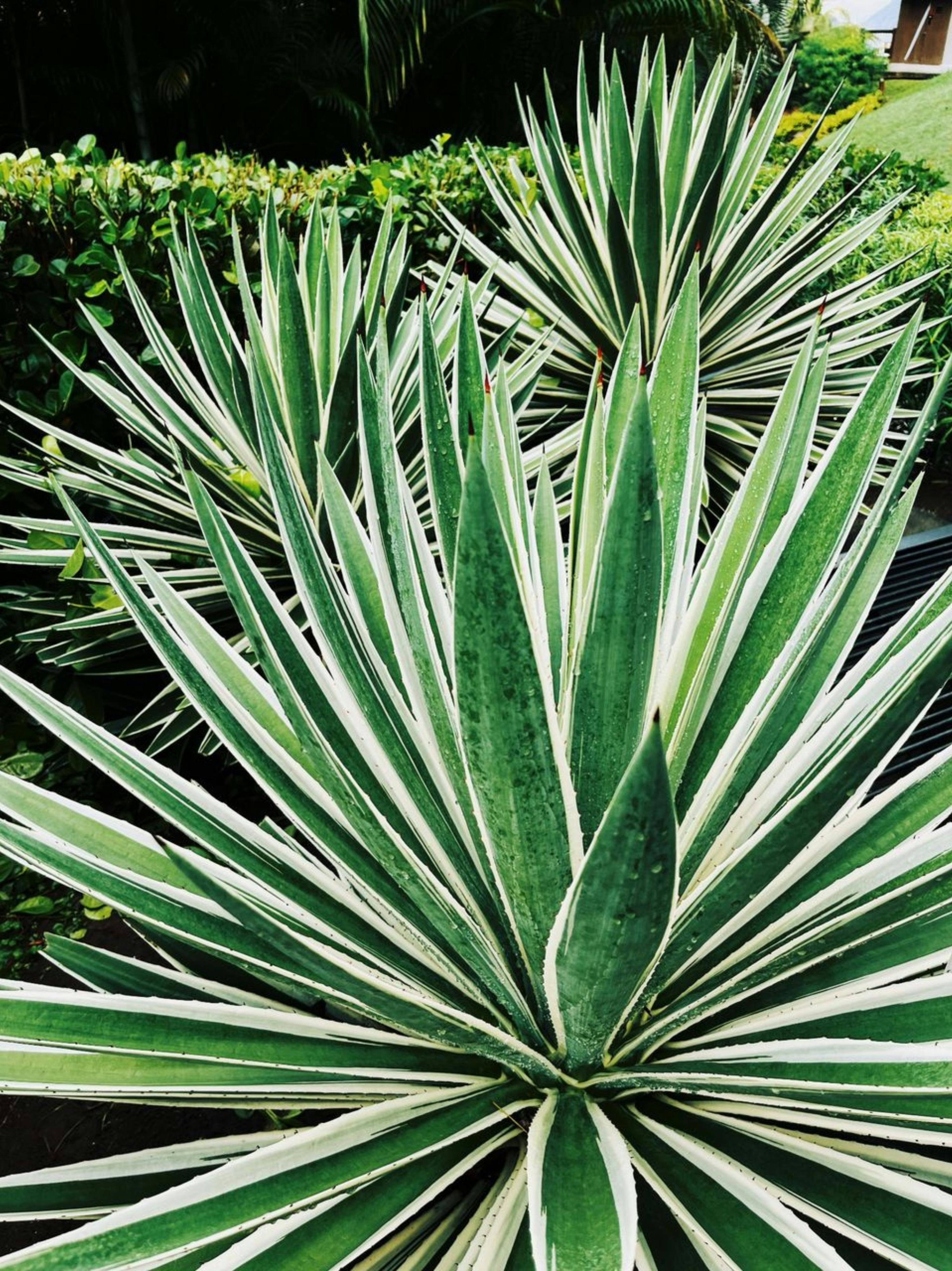 Madi Taylor - Photography