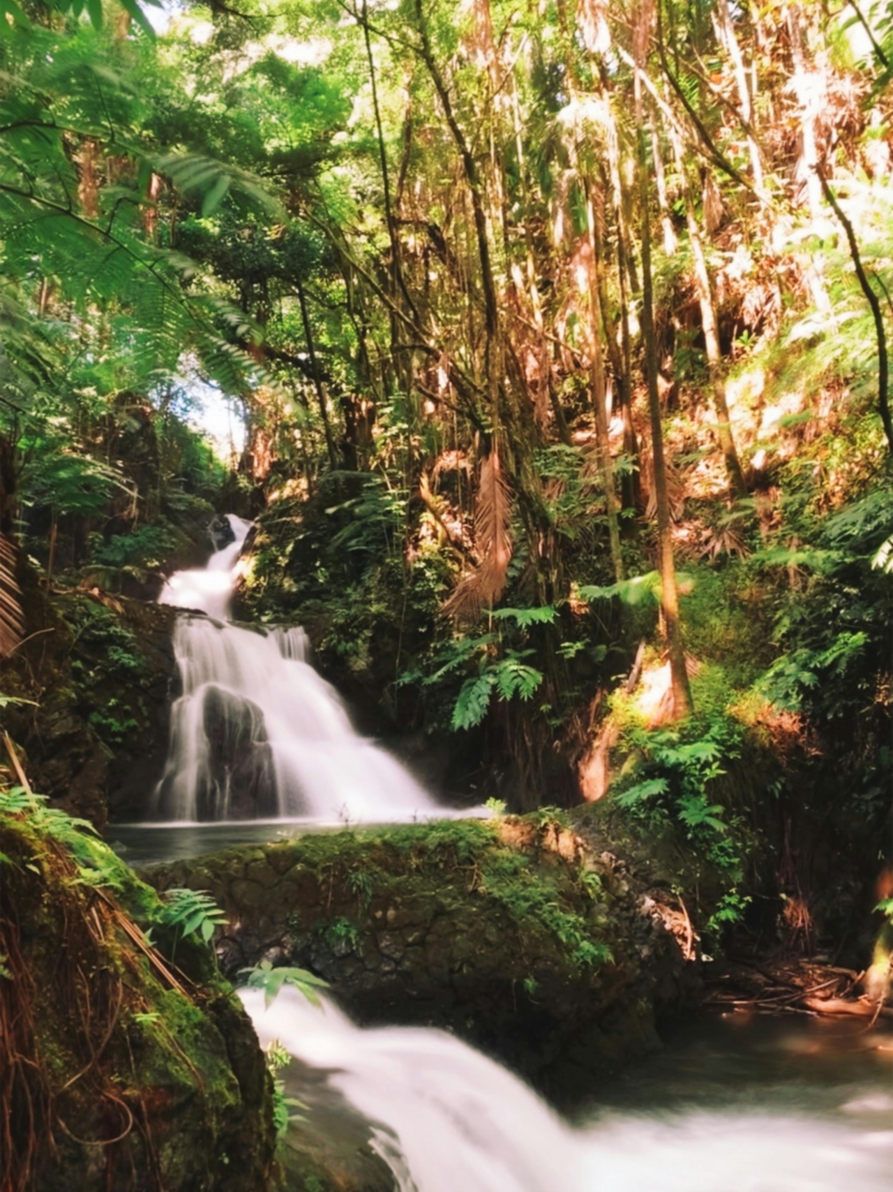 Madi Taylor - Photography