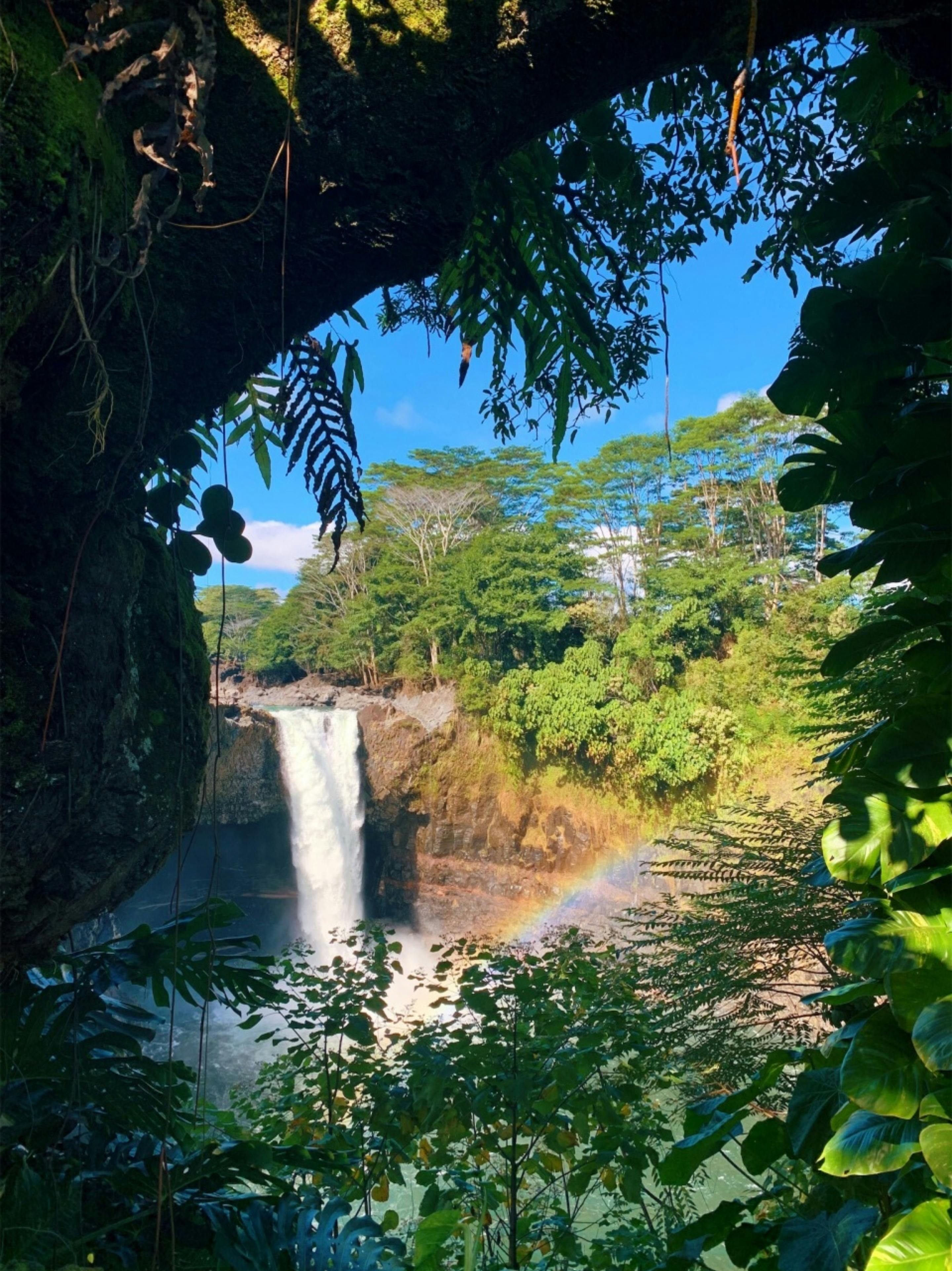 Madi Taylor - Photography