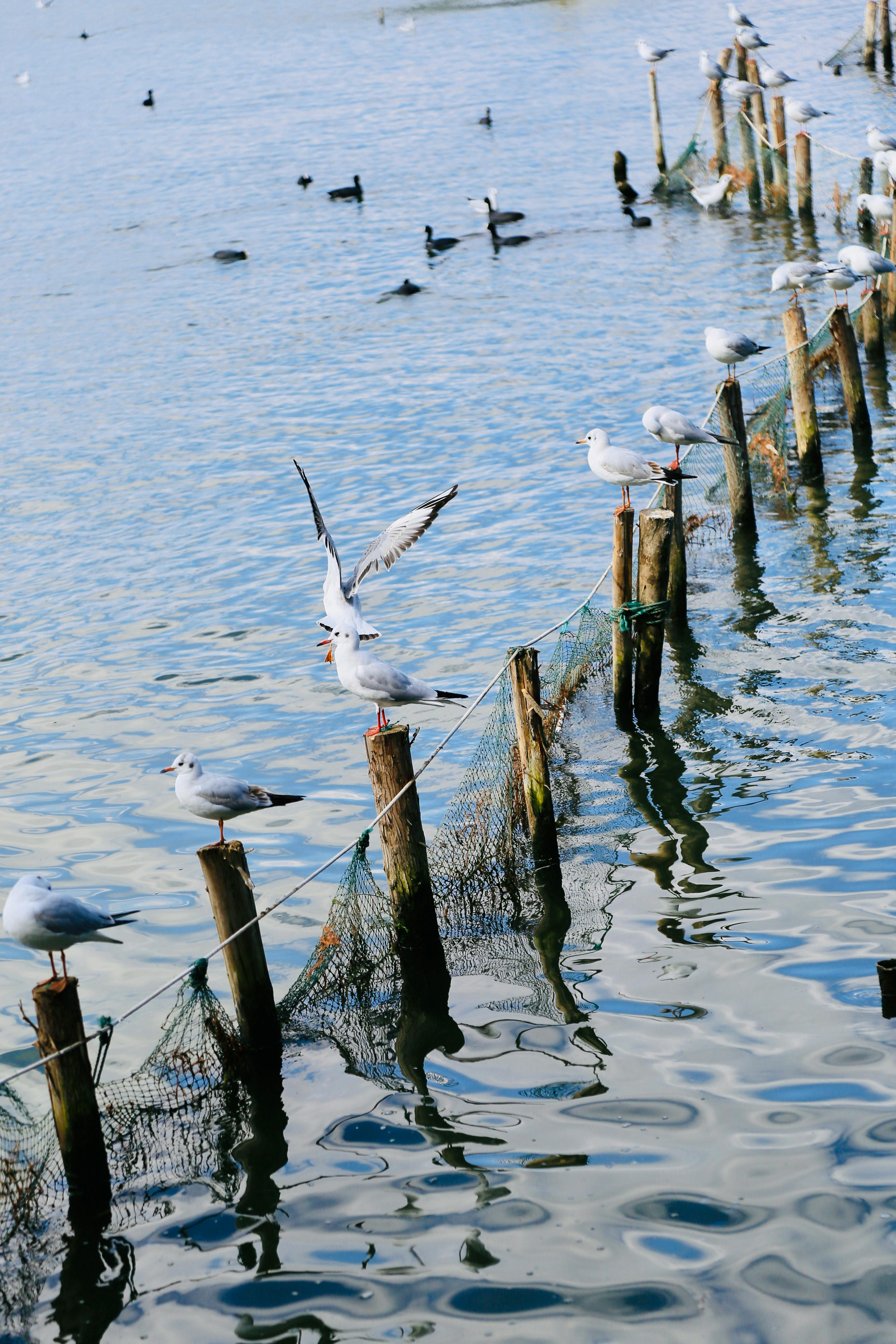 Andy Lee - Photography