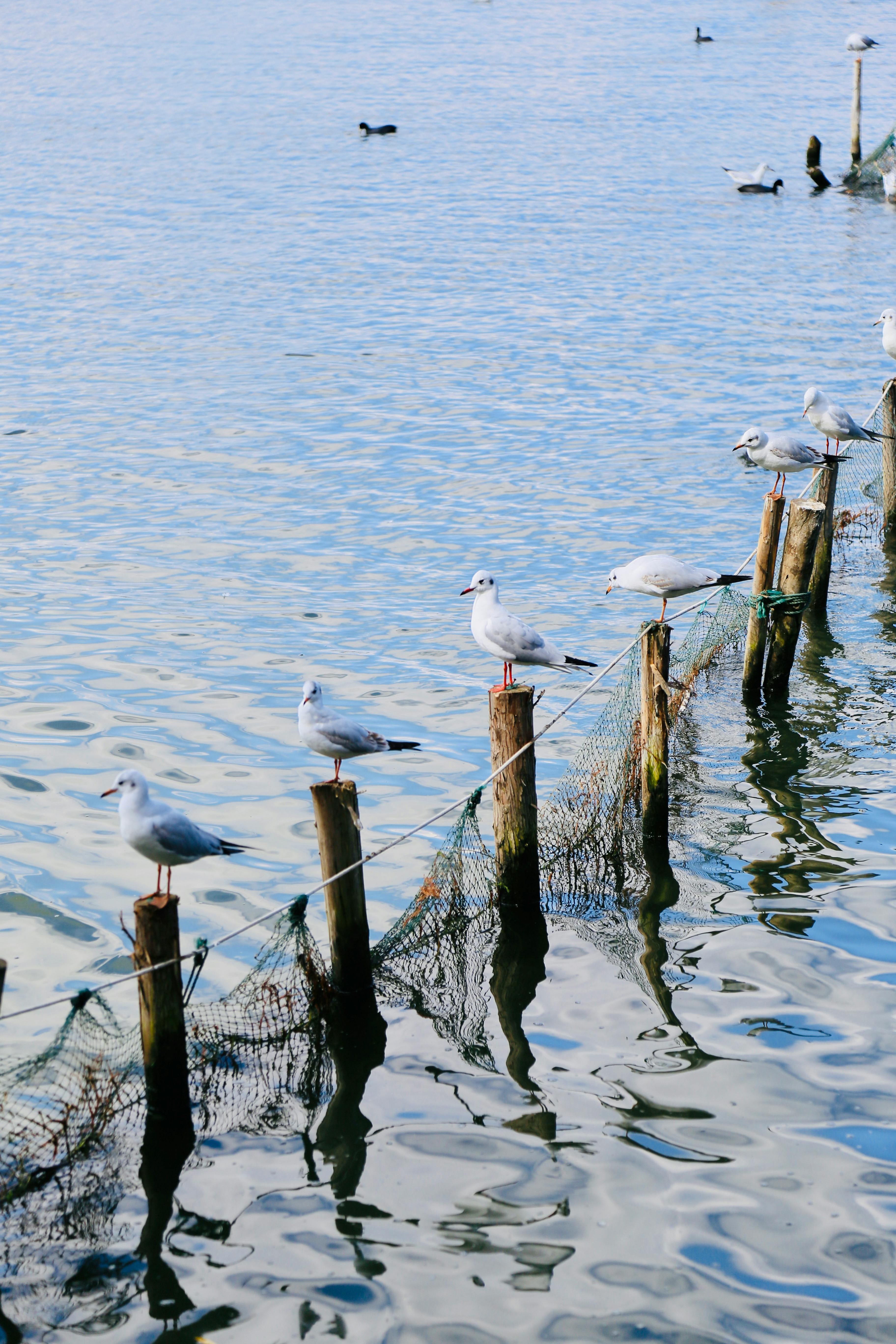 Andy Lee - Photography