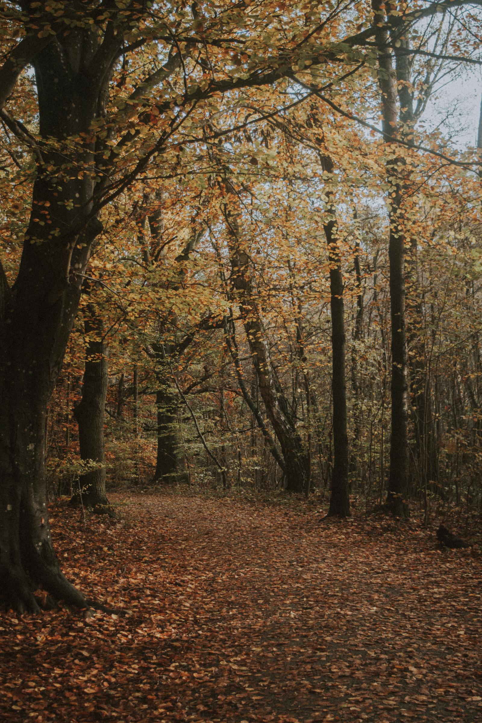 Bum In An Alley Photos, Download The BEST Free Bum In An Alley Stock ...
