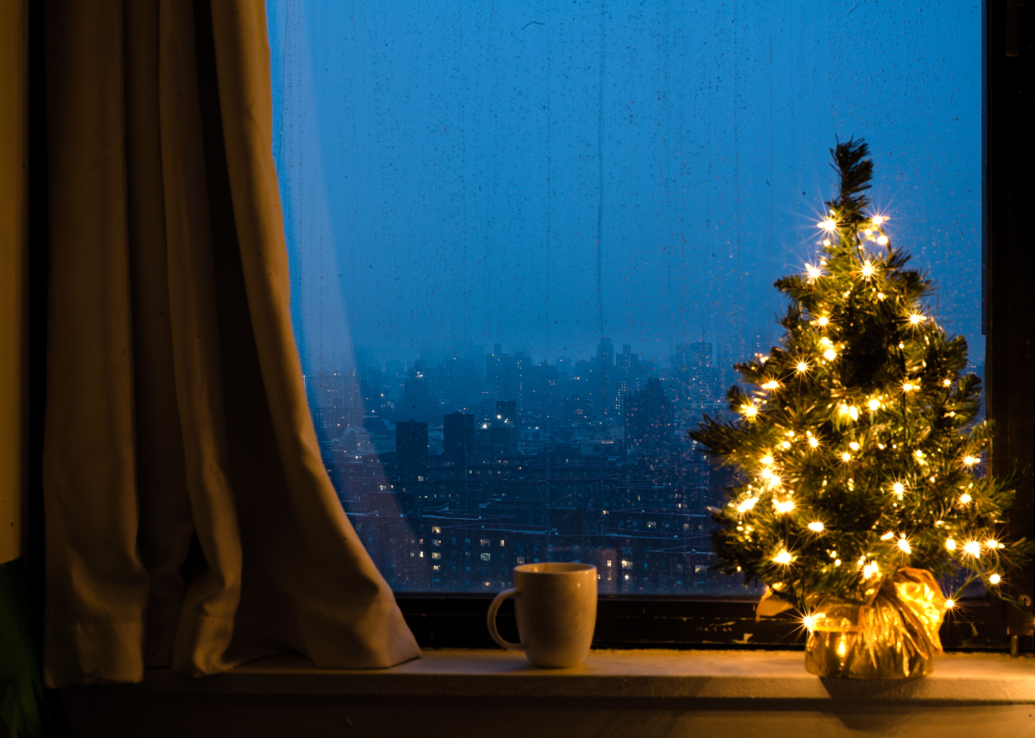 Christmas Tree and Window · Free Stock Photo