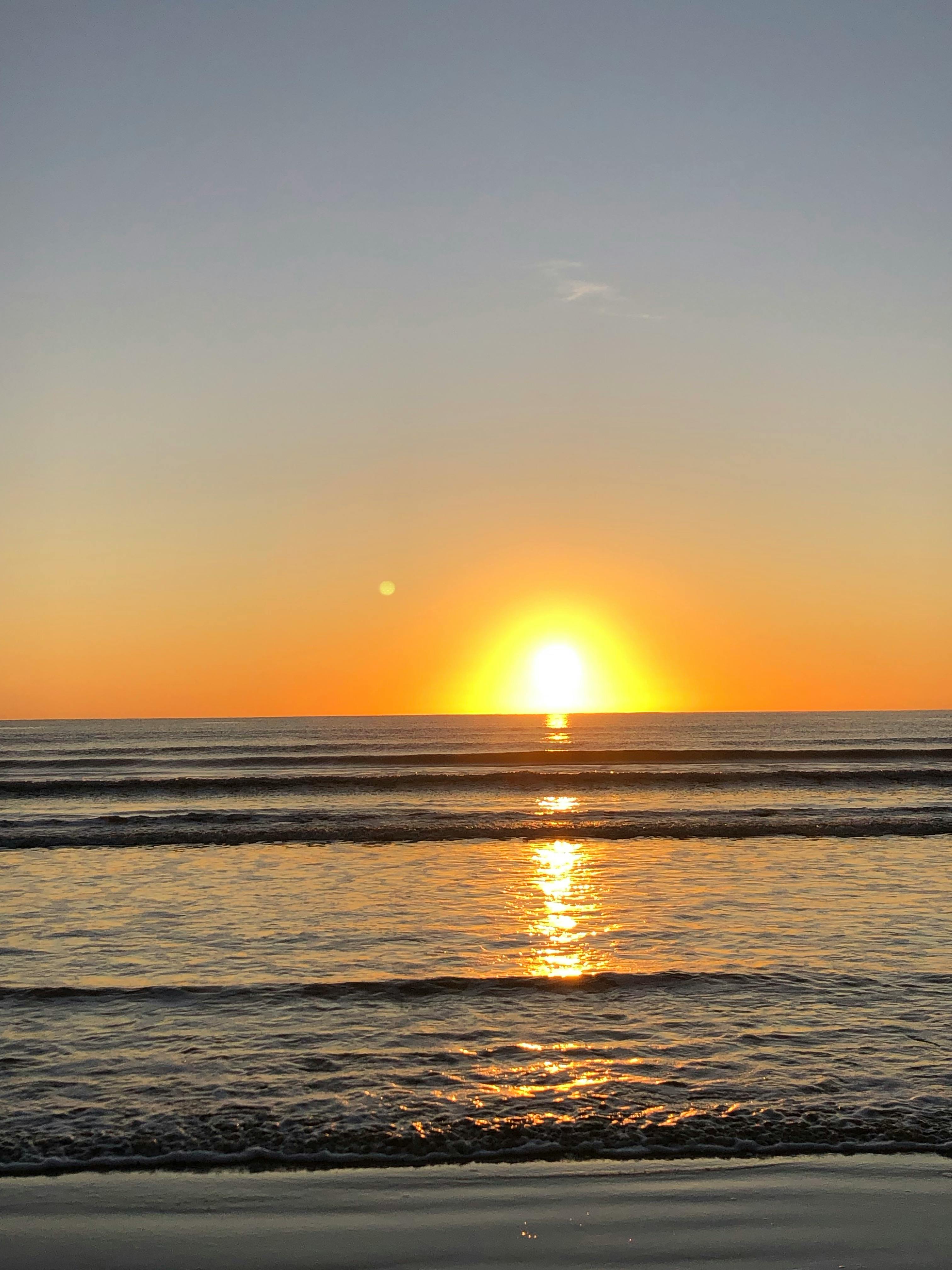 William Assis - 写真