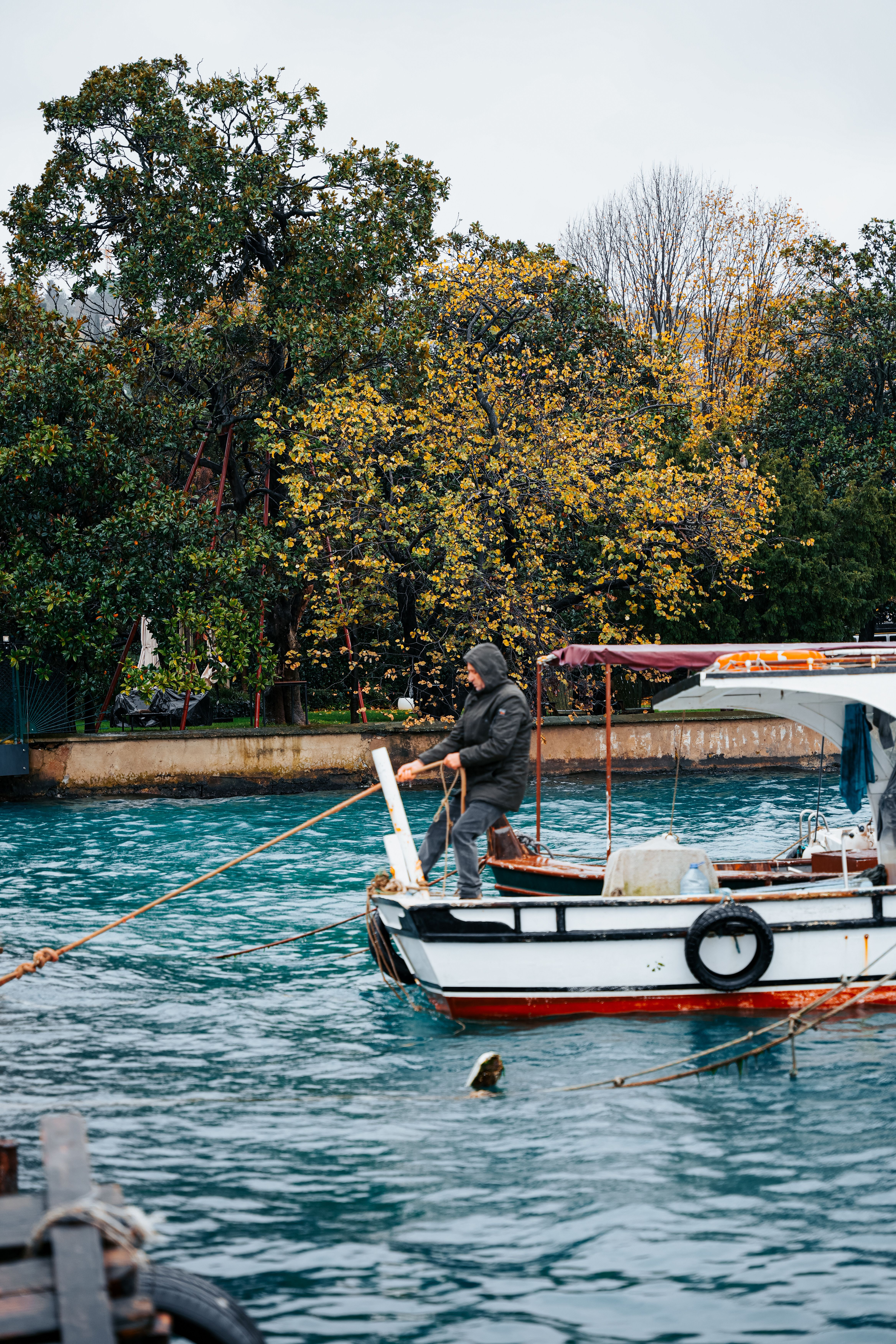 Fancy Boat Photos, Download The BEST Free Fancy Boat Stock Photos & HD ...
