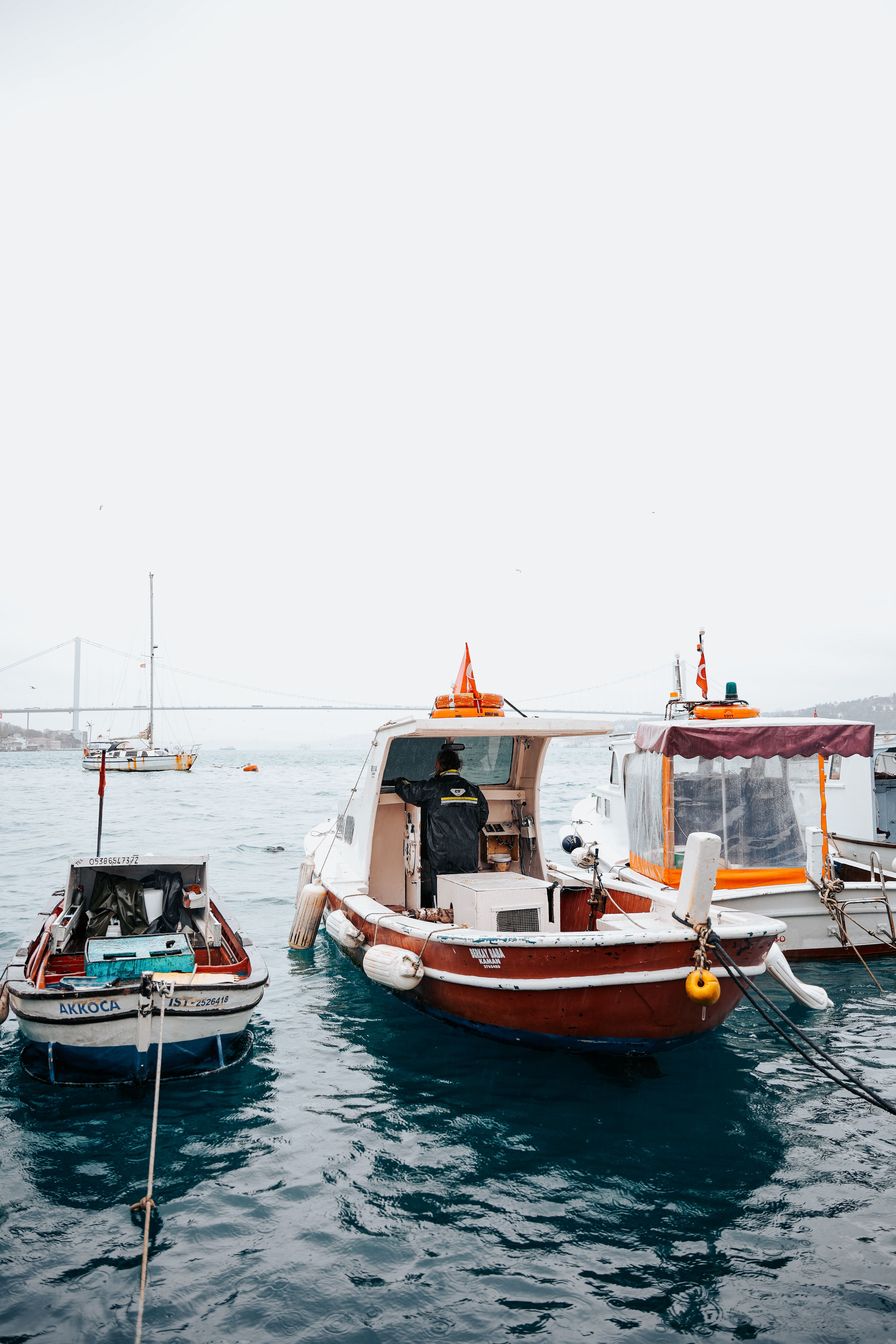 Boats in Harbor · Free Stock Photo