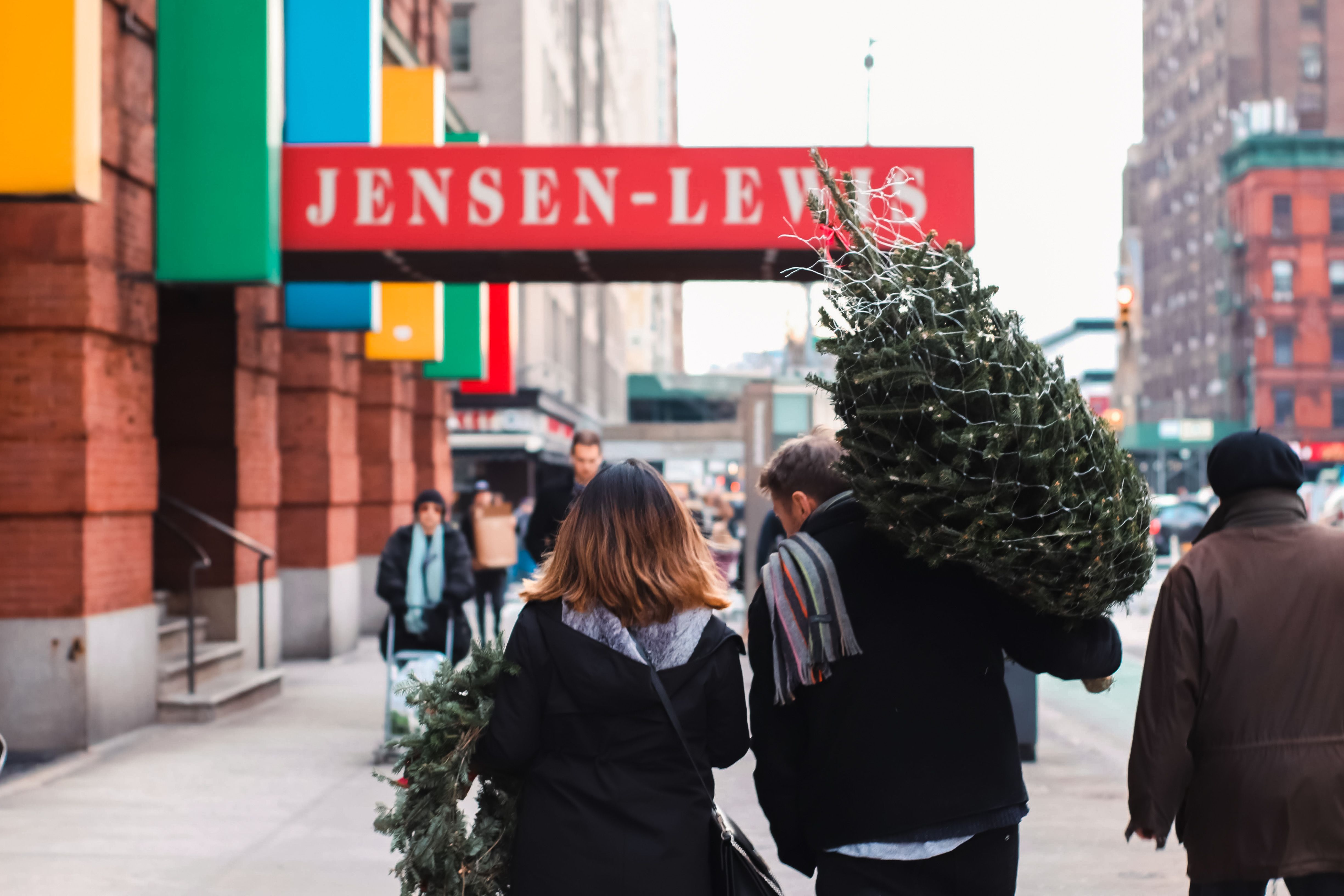 Couple Carrying Christmas Tree and Wreath · Free Stock Photo