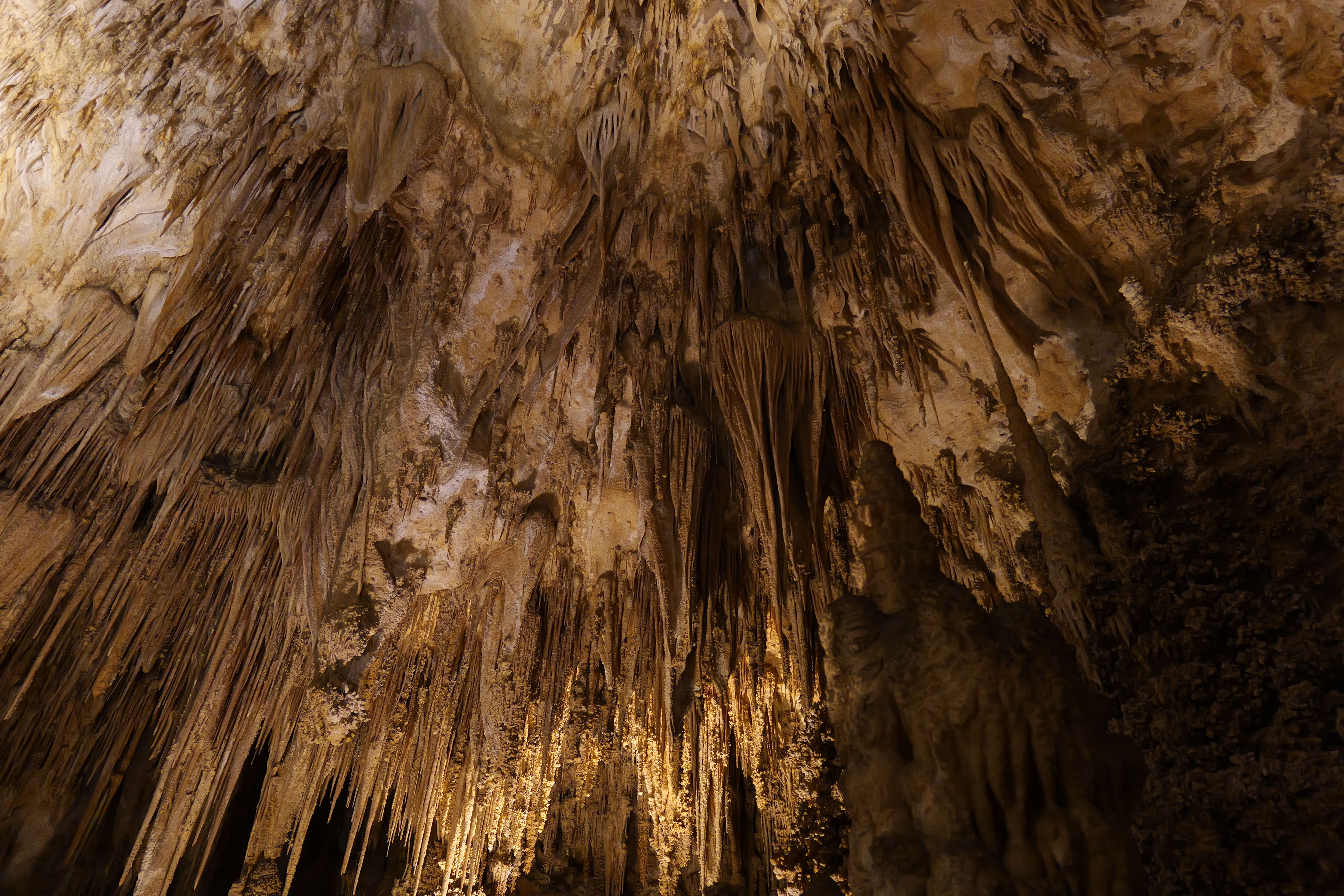 Stalactites in Cave at Carlsbad Caverns National Park · Free Stock Photo