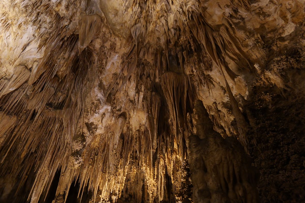 "Carlsbad Cavern Bats" Photos, Download The BEST Free "Carlsbad Cavern ...