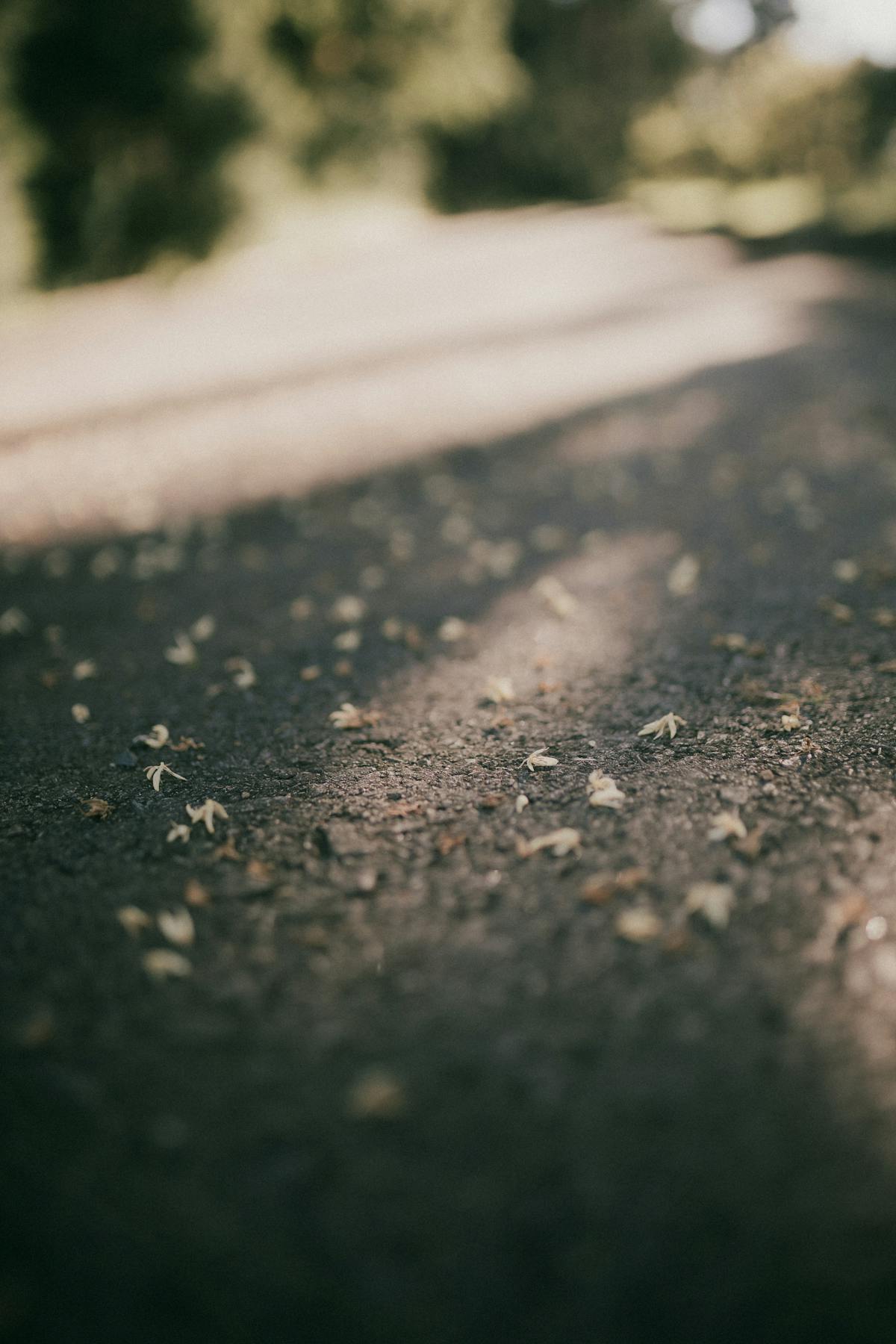 Road Bg Photos, Download The BEST Free Road Bg Stock Photos & HD Images