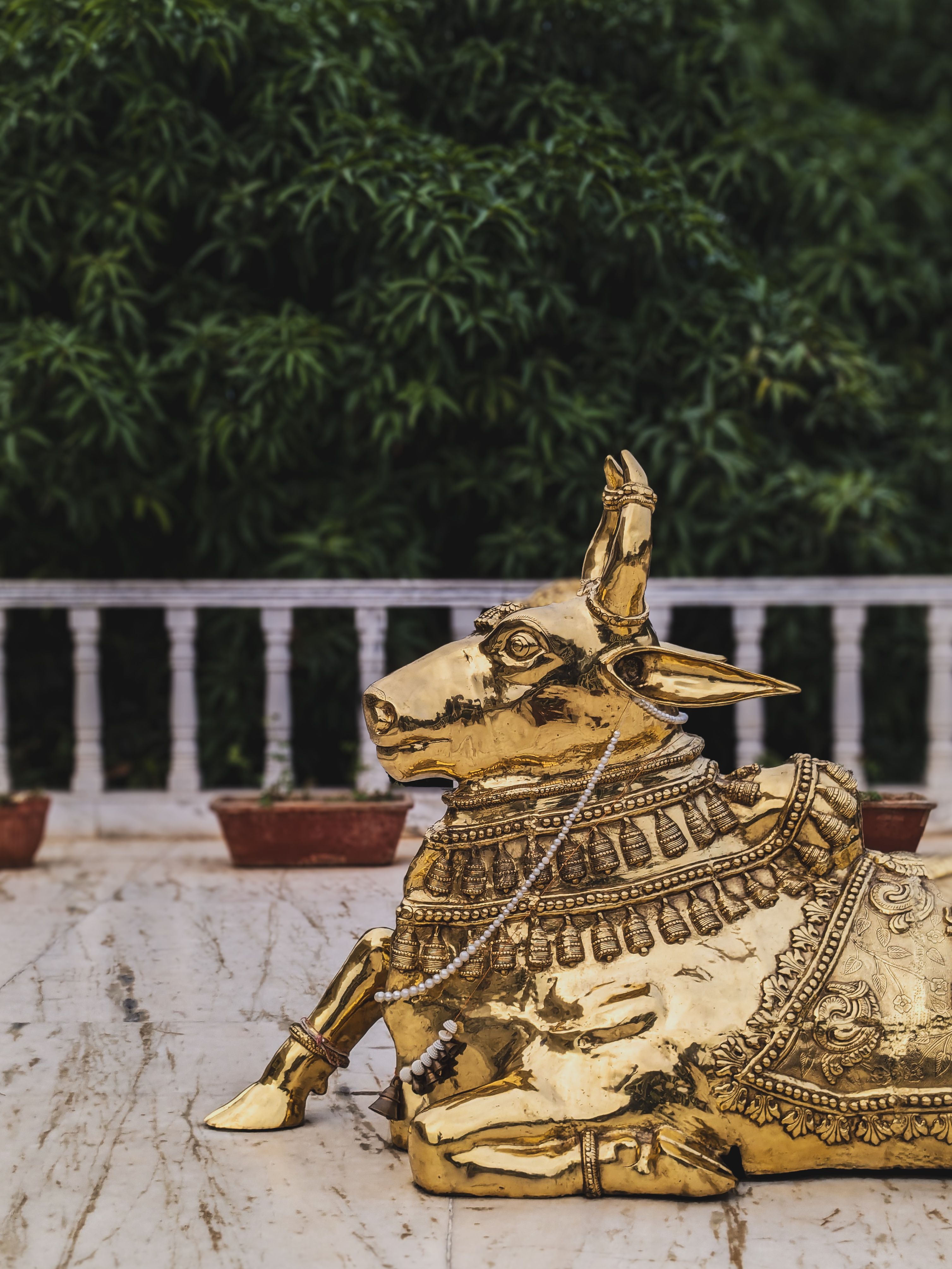 A Golden Statue of Nandi Bull - a Hindu Deity · Free Stock Photo