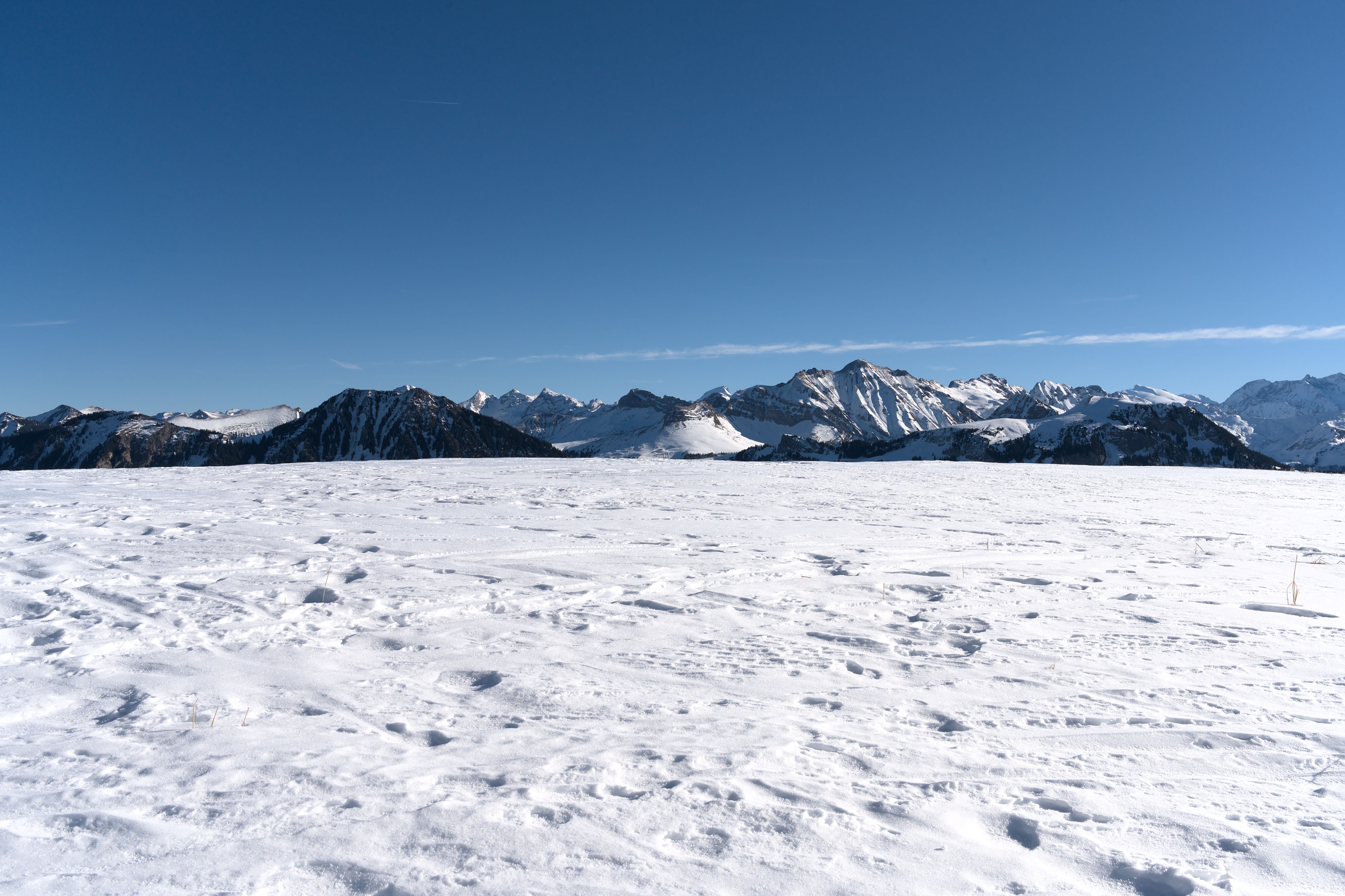 Plains in Snow with Mountains behind · Free Stock Photo