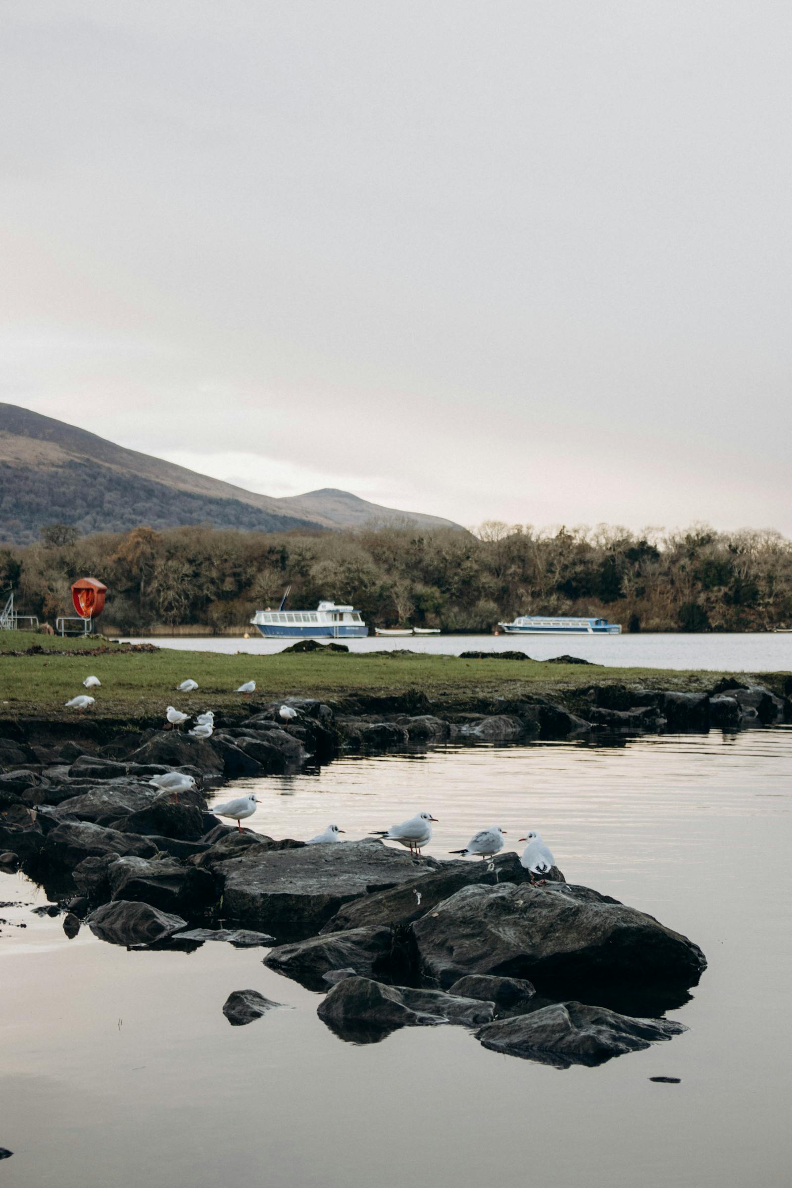 Gull Bay Photos, Download The BEST Free Gull Bay Stock Photos & HD Images