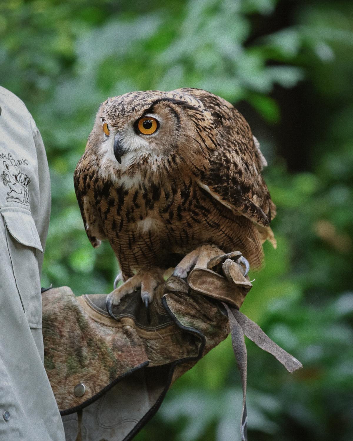 Zookeeper Photos, Download The BEST Free Zookeeper Stock Photos & HD Images