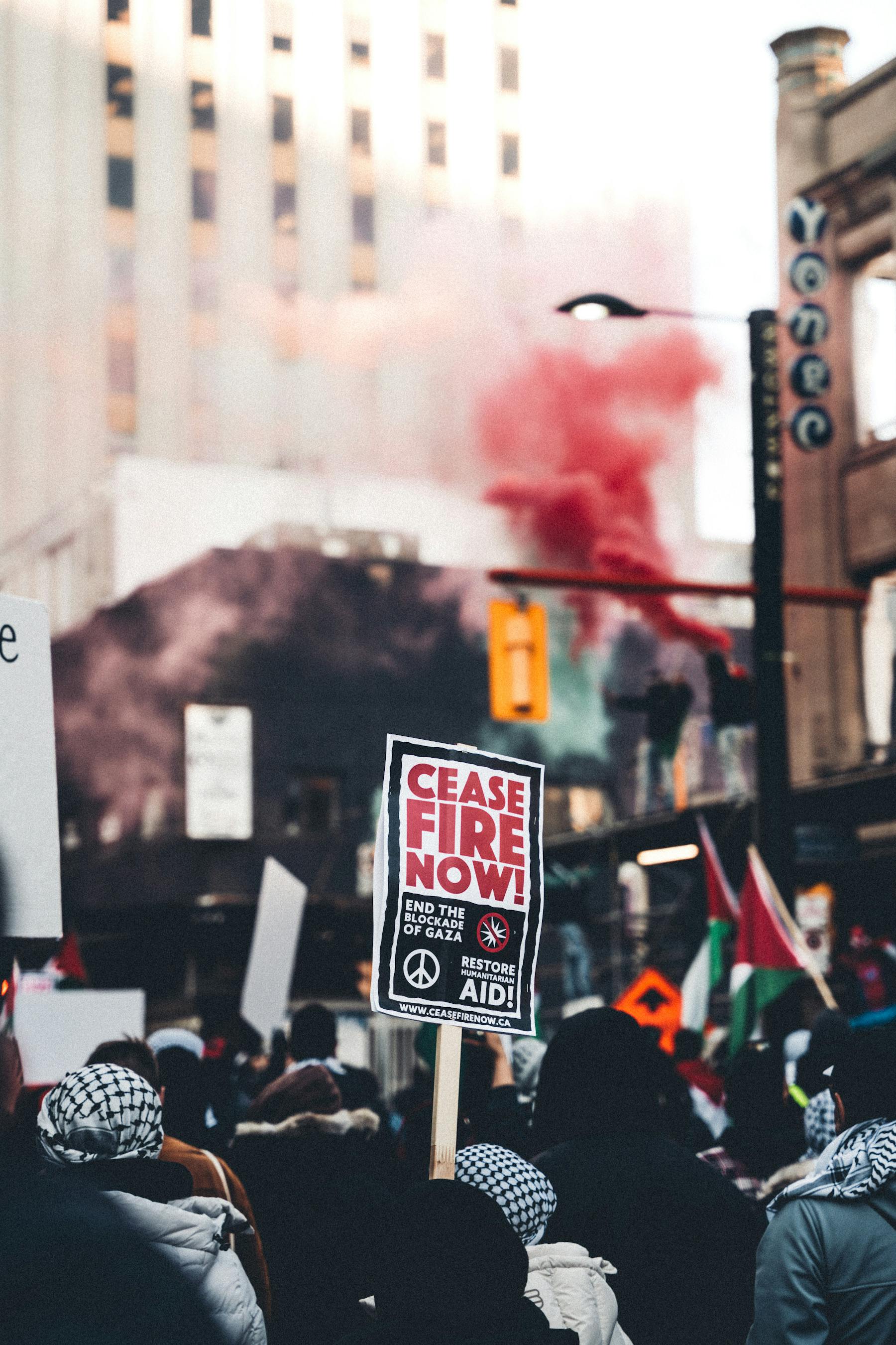 Crowd of Protesters with Banners Palestinian Flags and Smoke Candles ...
