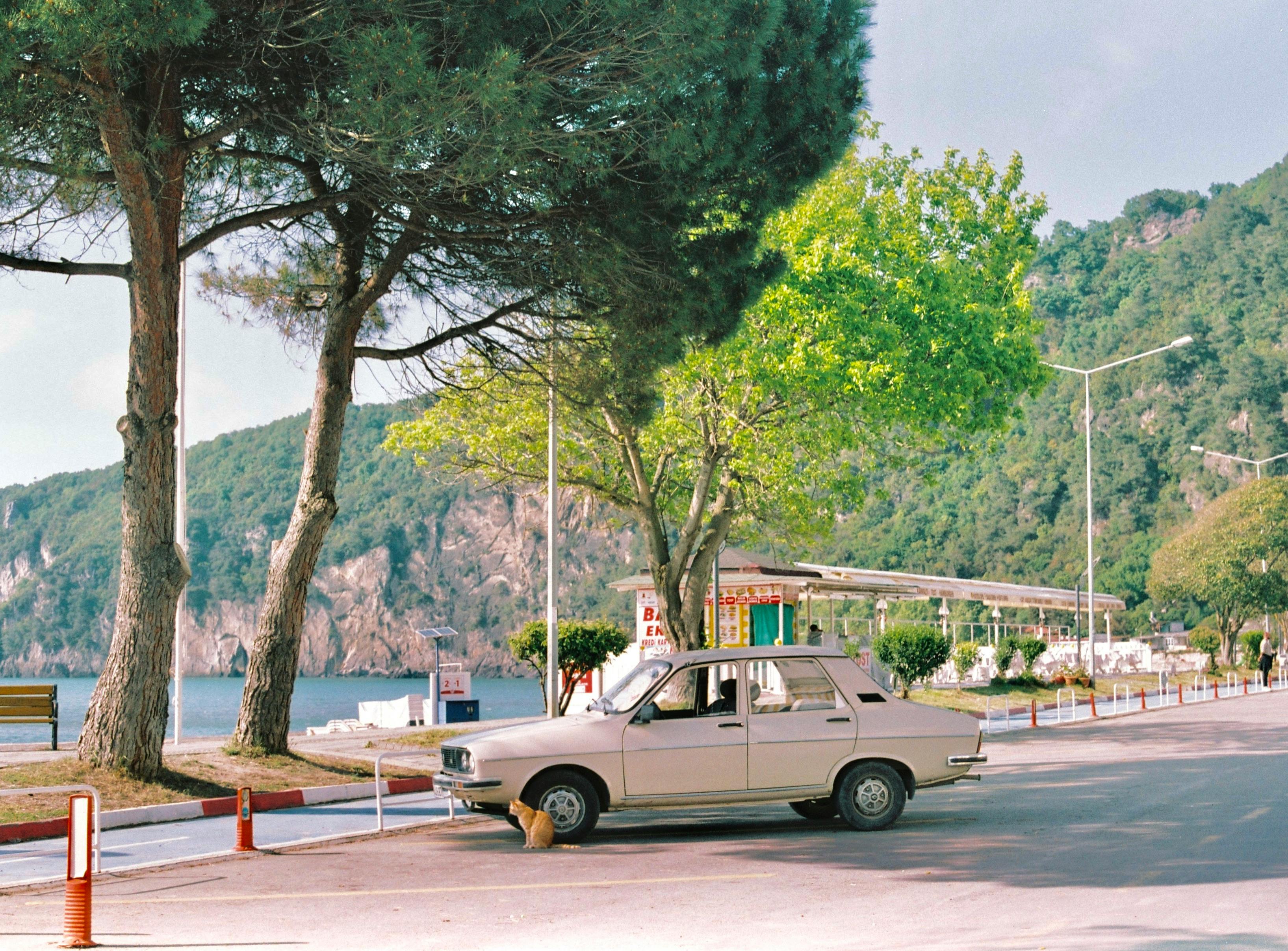 Turquoise Vintage Car Photos, Download The BEST Free Turquoise Vintage ...