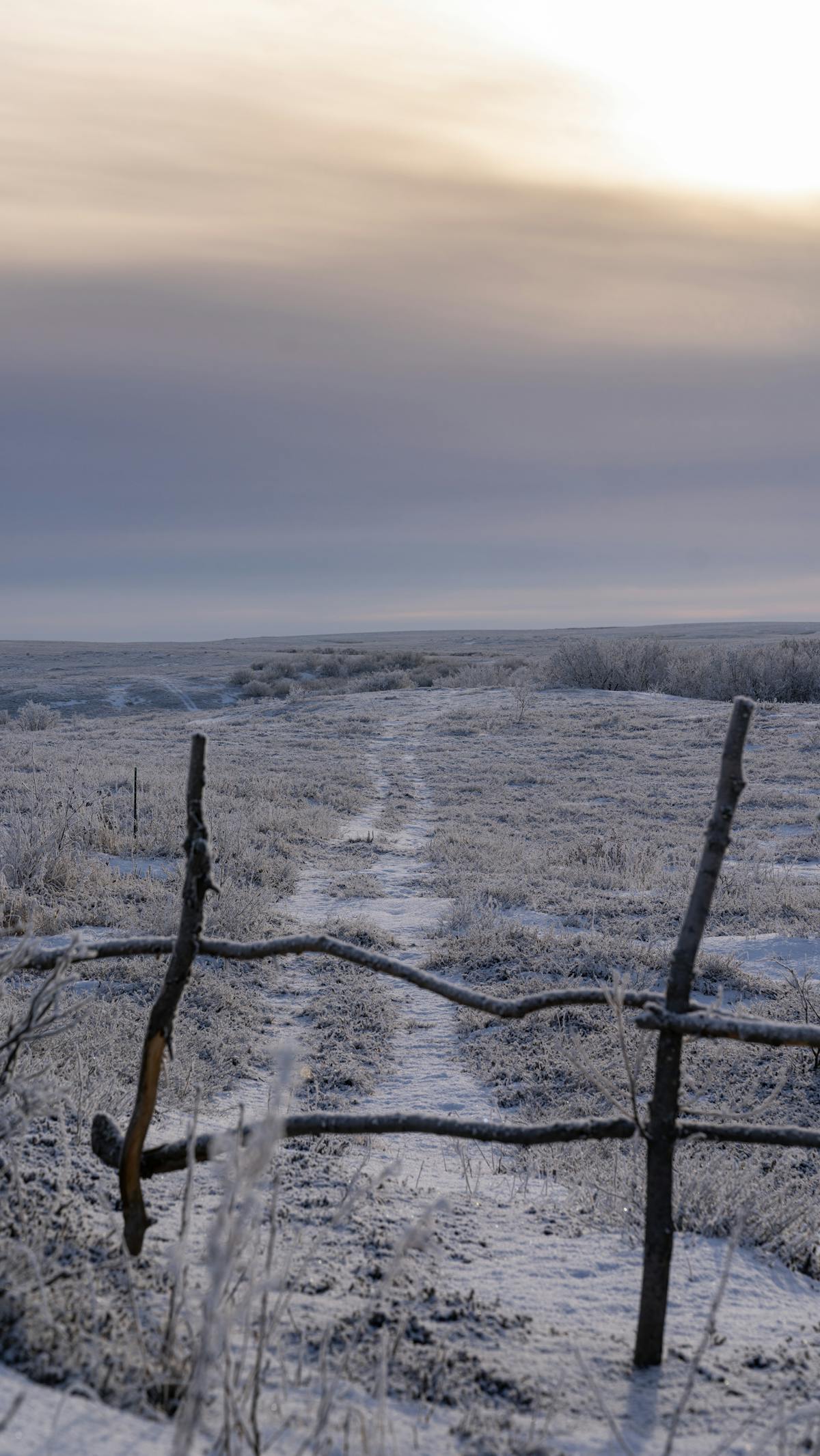 Blocking Path Photos, Download The BEST Free Blocking Path Stock Photos ...