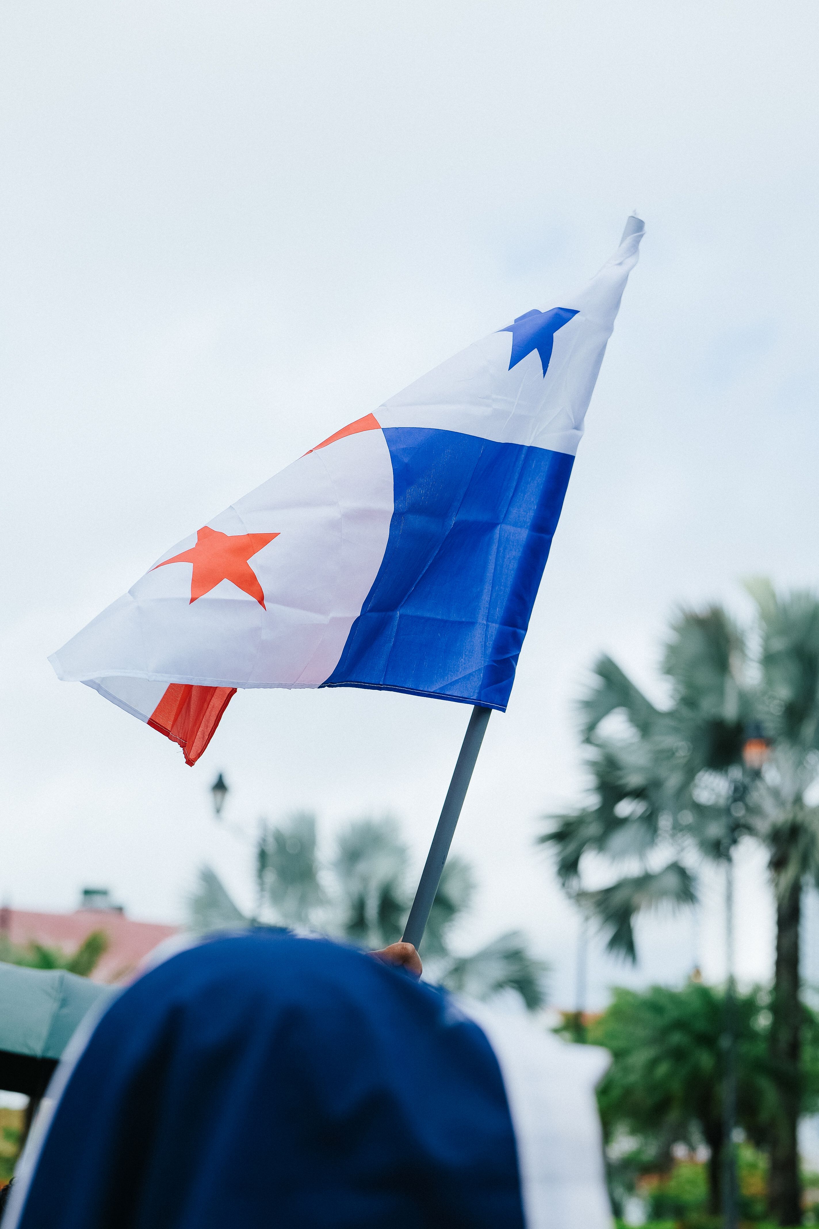 Person Waving Flag · Free Stock Photo