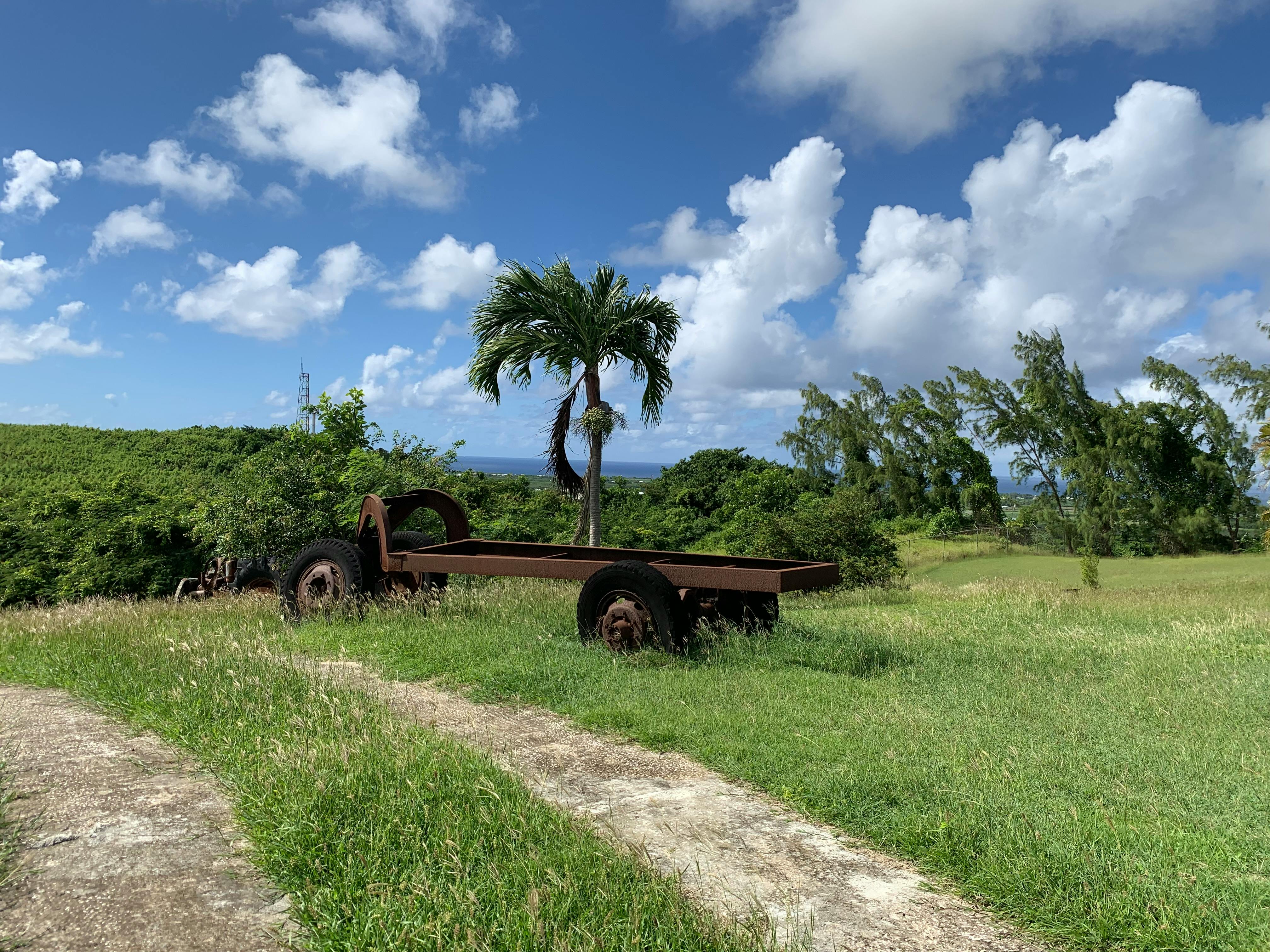 Sarah Wall - Photography