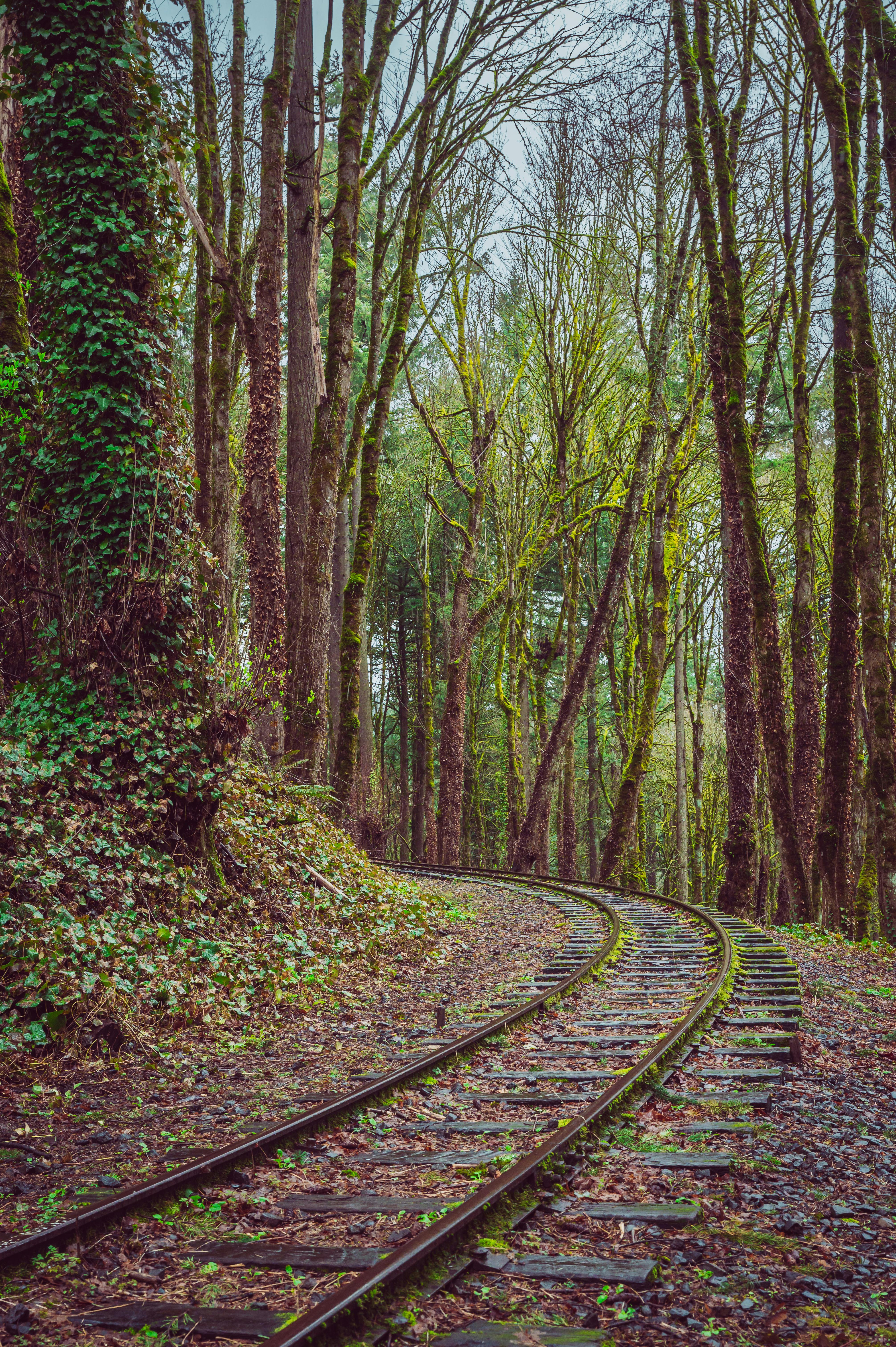 Nature Basic Photos, Download The BEST Free Nature Basic Stock Photos ...