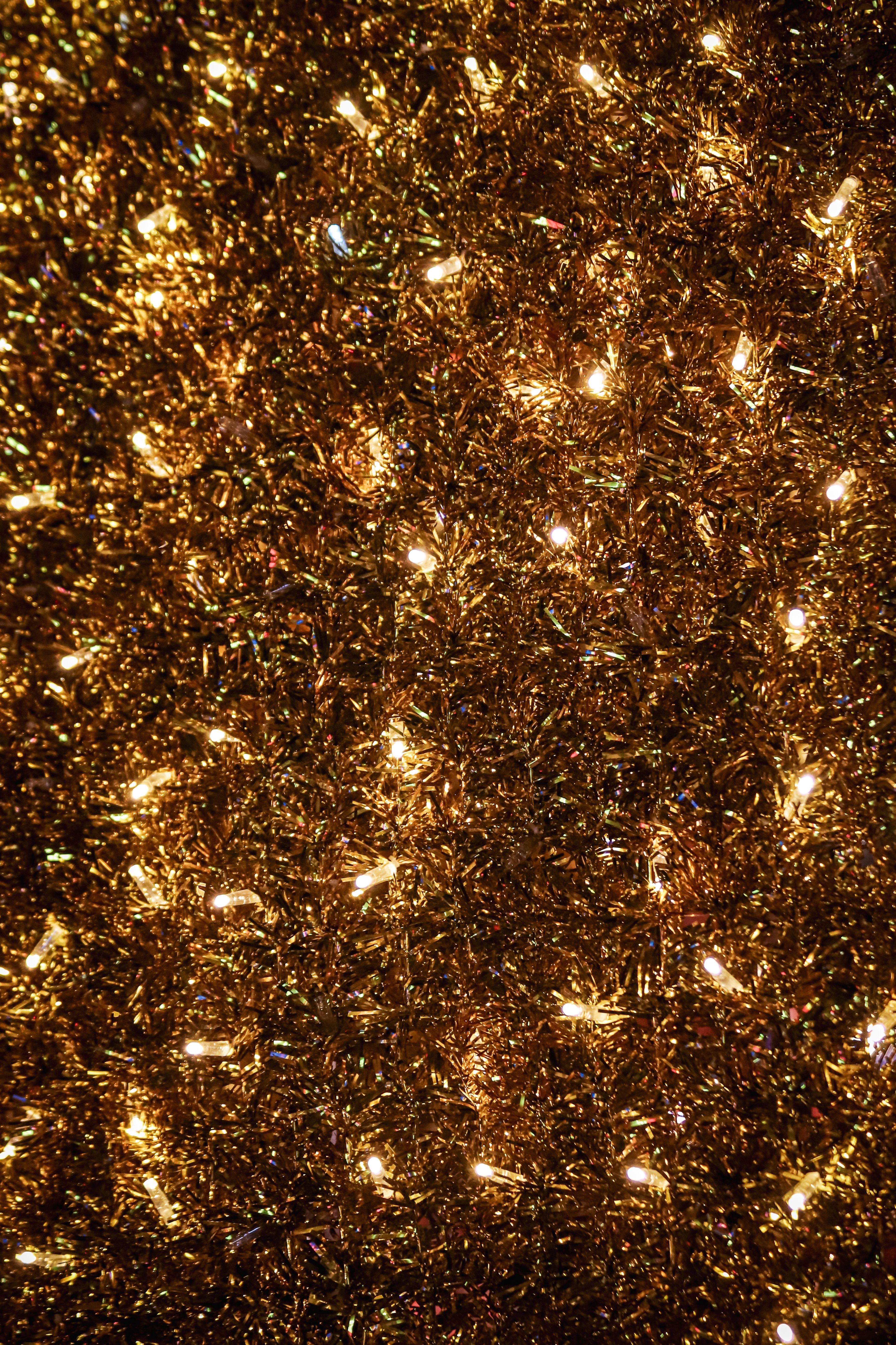 Burnished Gold Texture Photos, Download The BEST Free Burnished Gold ...