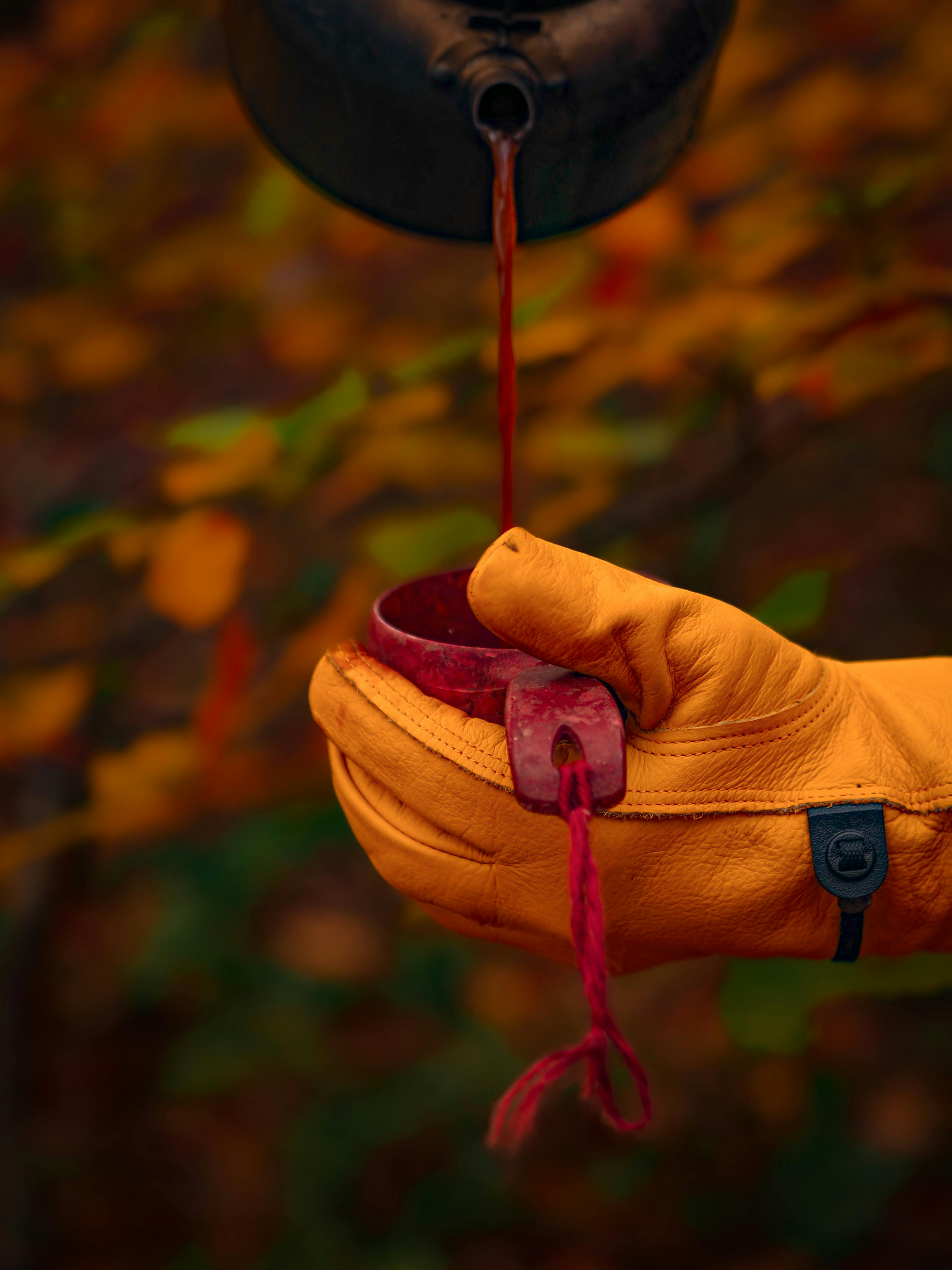 Yellow String Photos, Download The BEST Free Yellow String Stock Photos ...