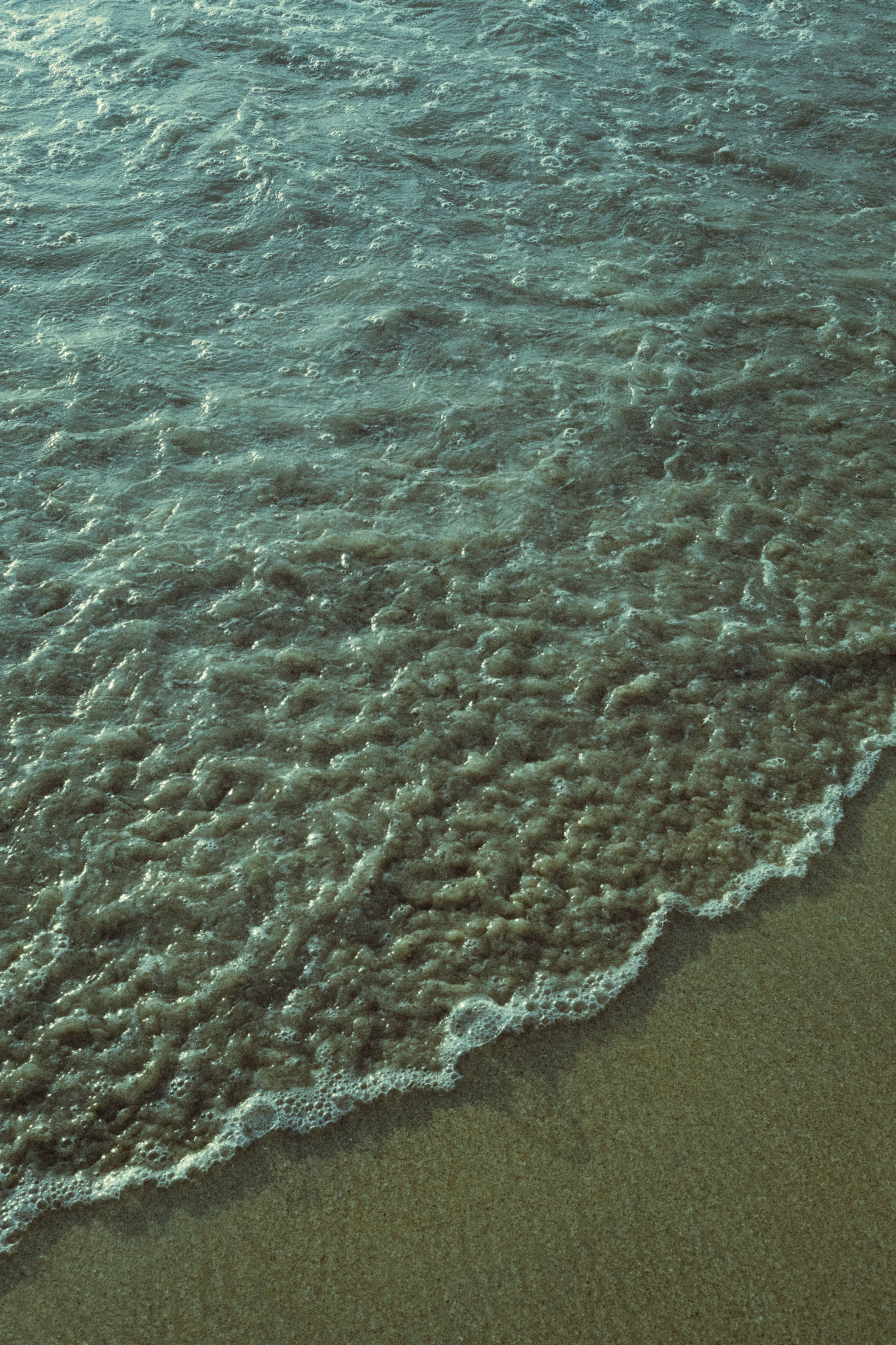 Waves Reaching Wet Sand on Sea Shore · Free Stock Photo