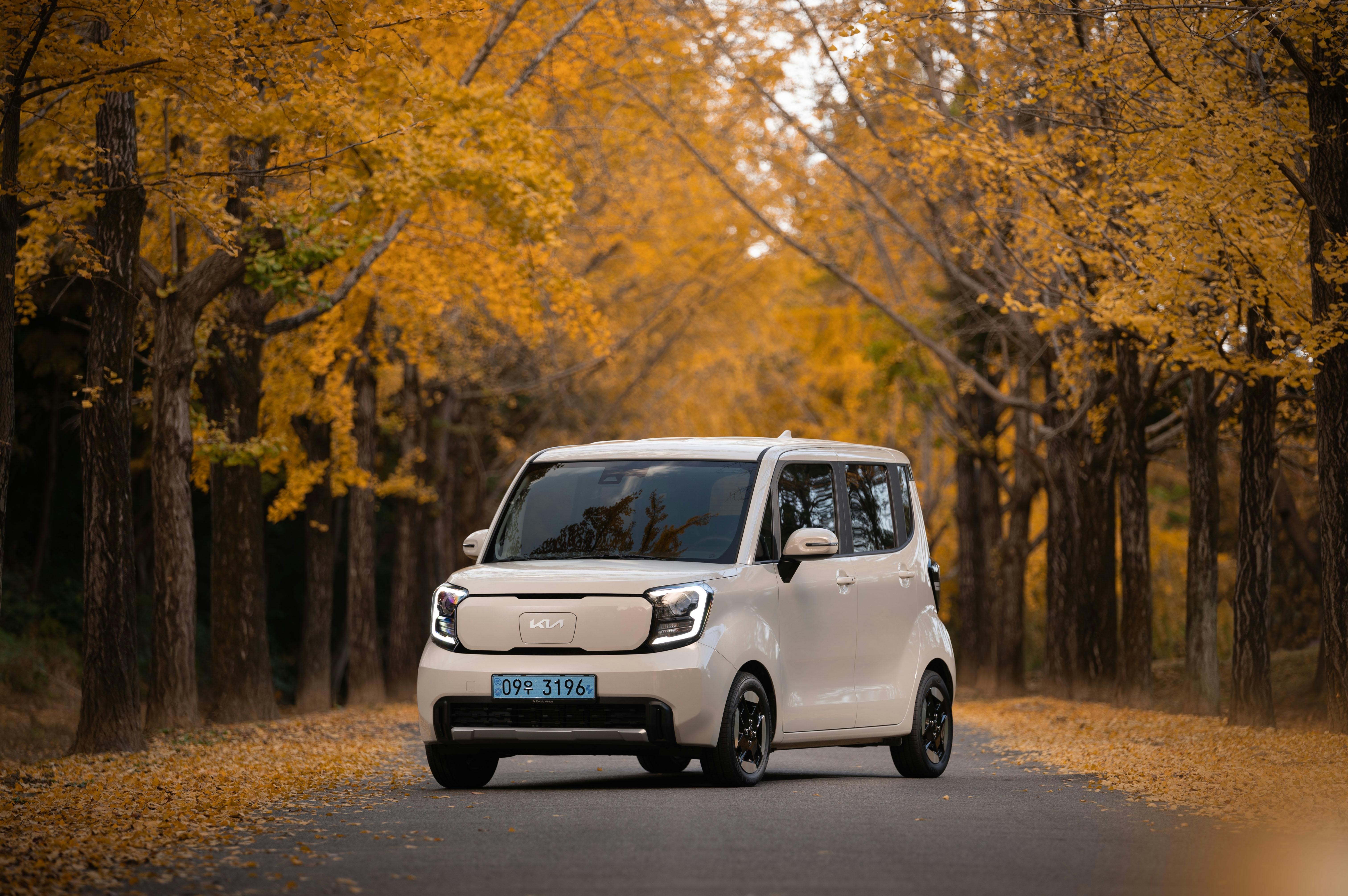 The left front view of the Kia Ray EV parked on in fall foliage road ...