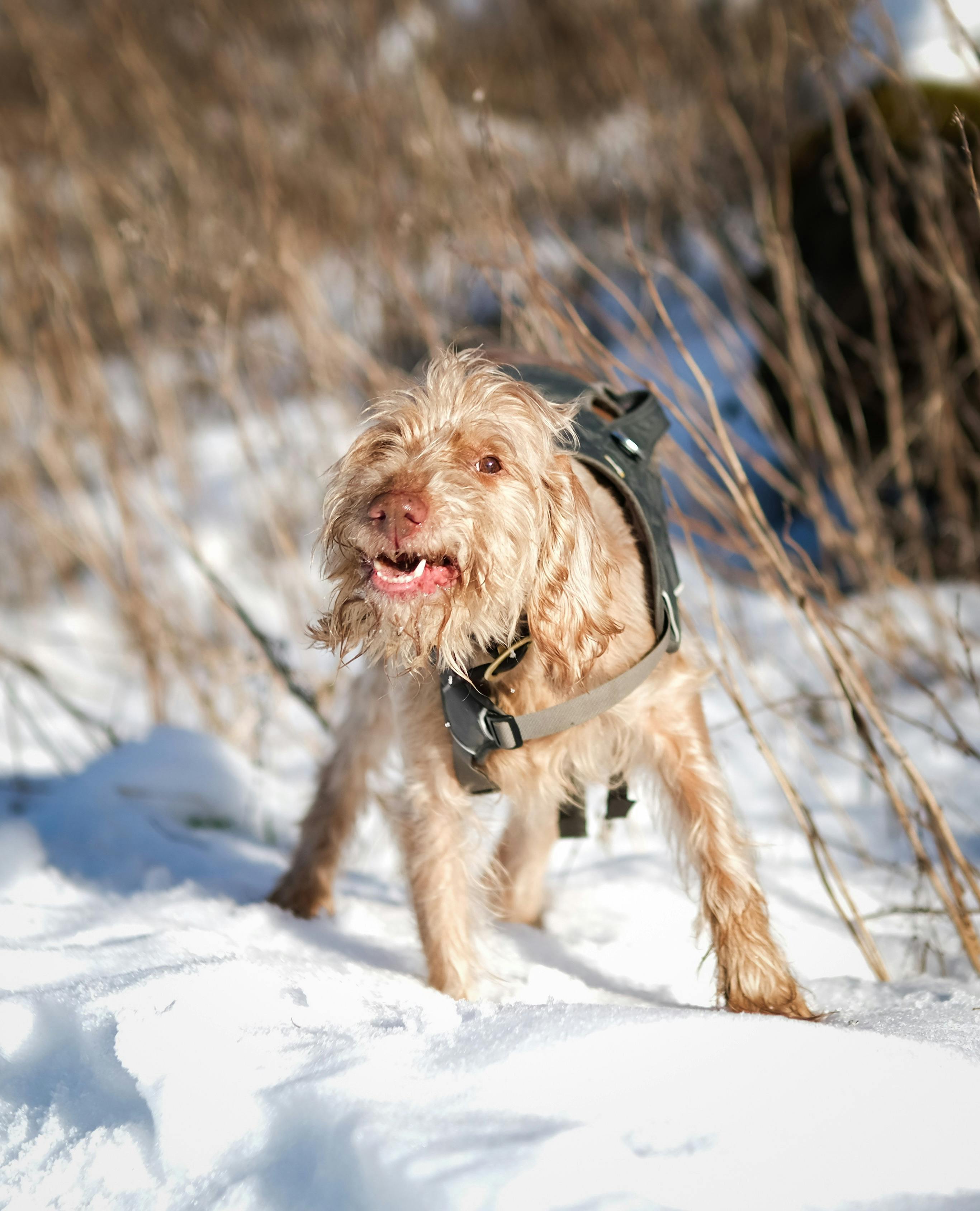 Ice Under Microscope Photos, Download The BEST Free Ice Under ...