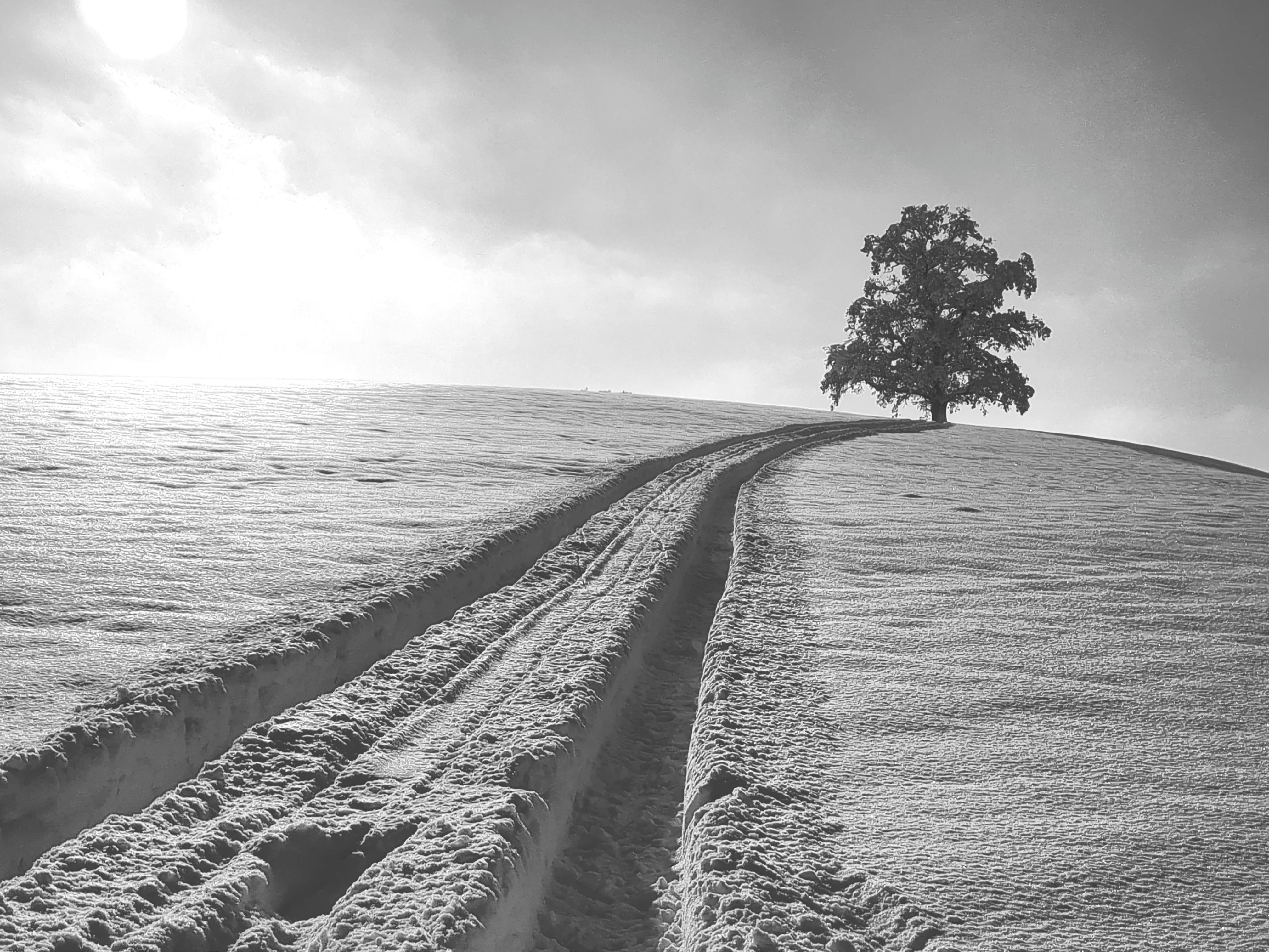 Matthias Fiesel - Photography