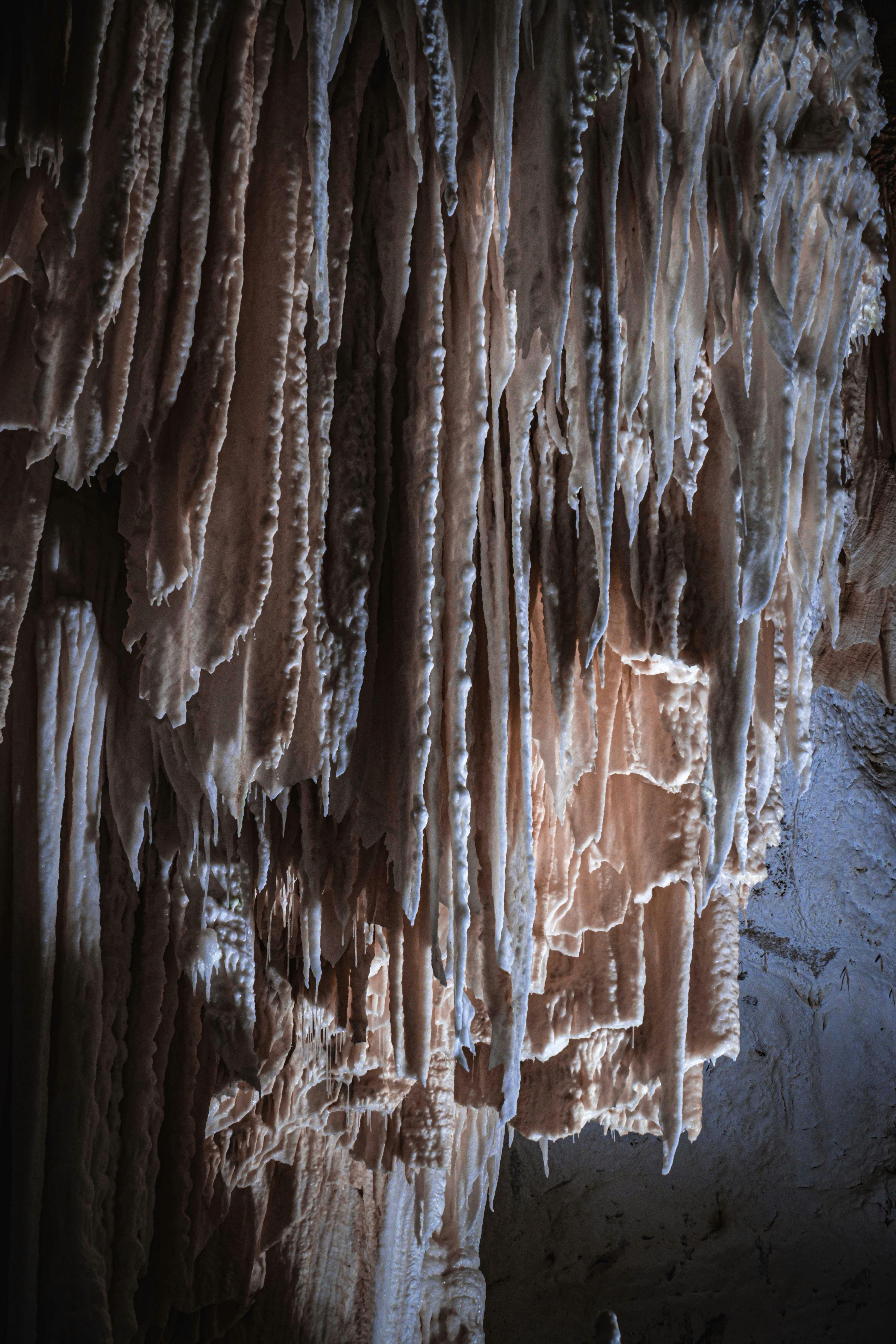 Close-up of Stalactites on the Cave Ceiling · Free Stock Photo