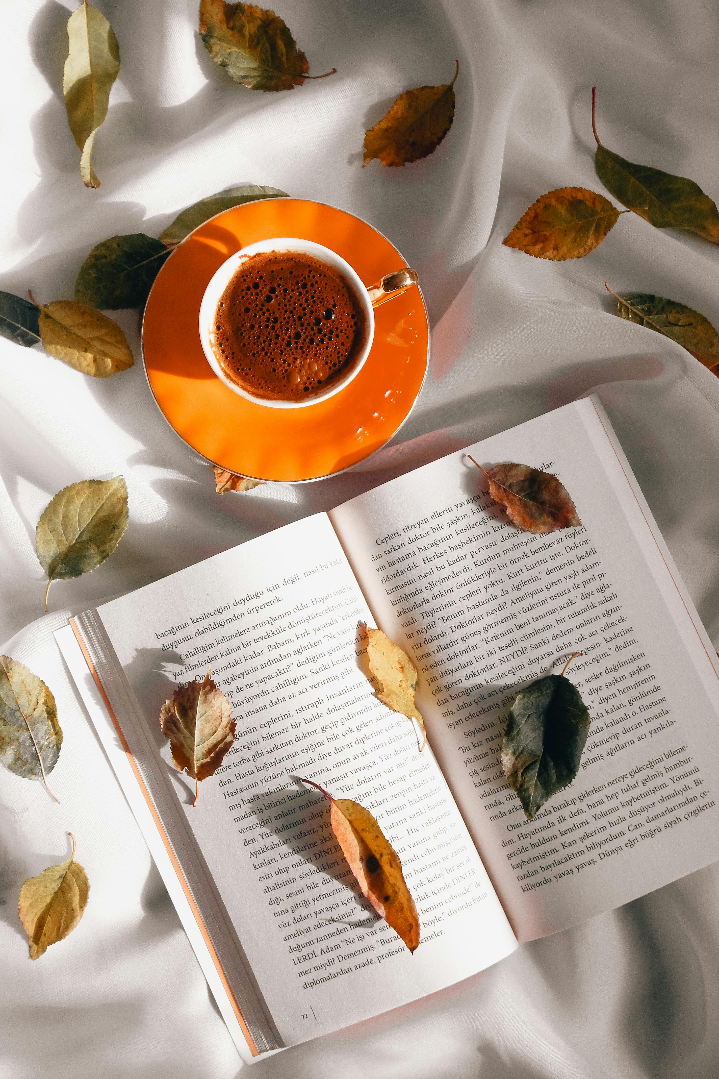 Black and Gray Ghostly Book Beside Three Dried Maple Leaves · Free ...