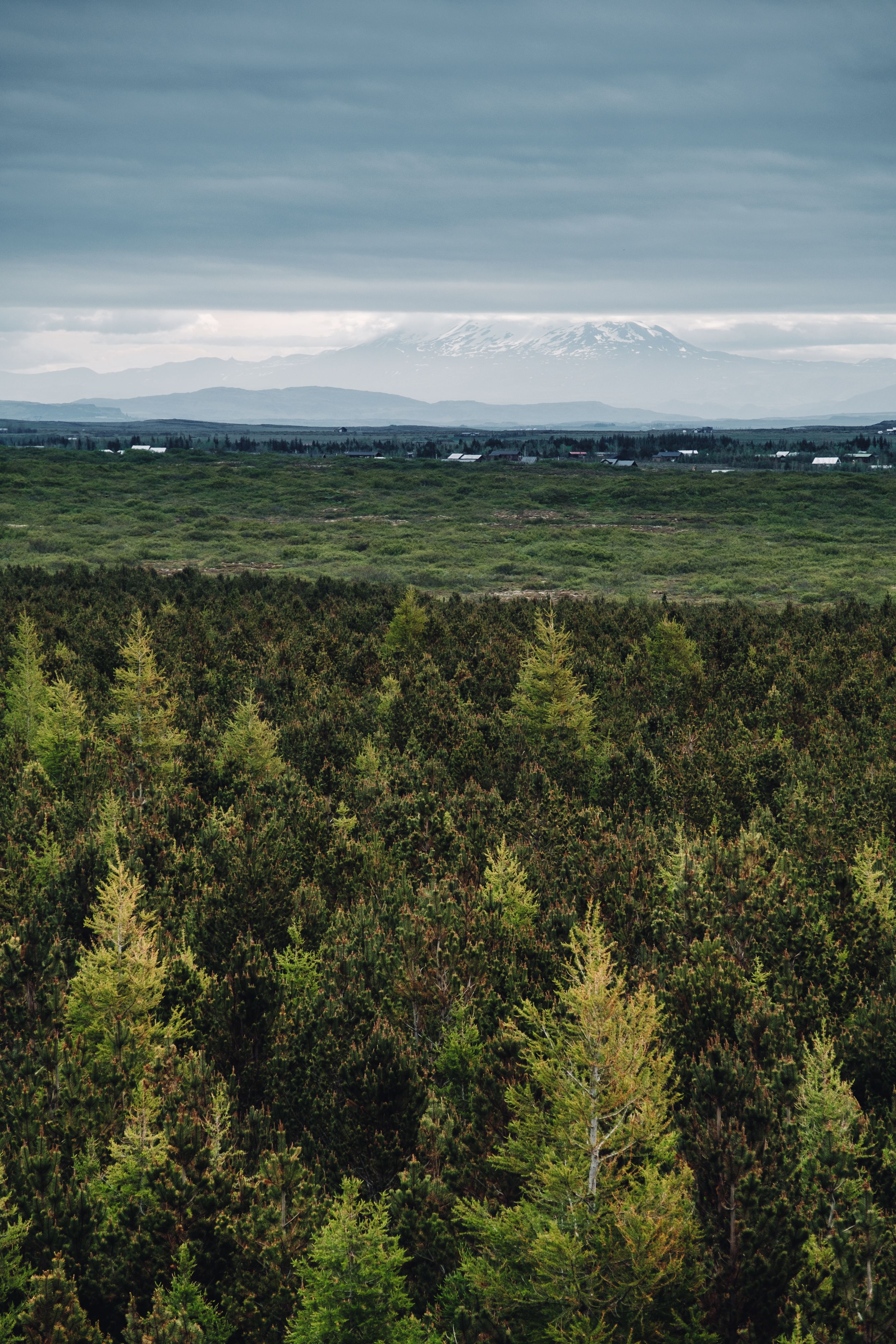 Aerial View of a Forest and Mountains in the Horizon · Free Stock Photo