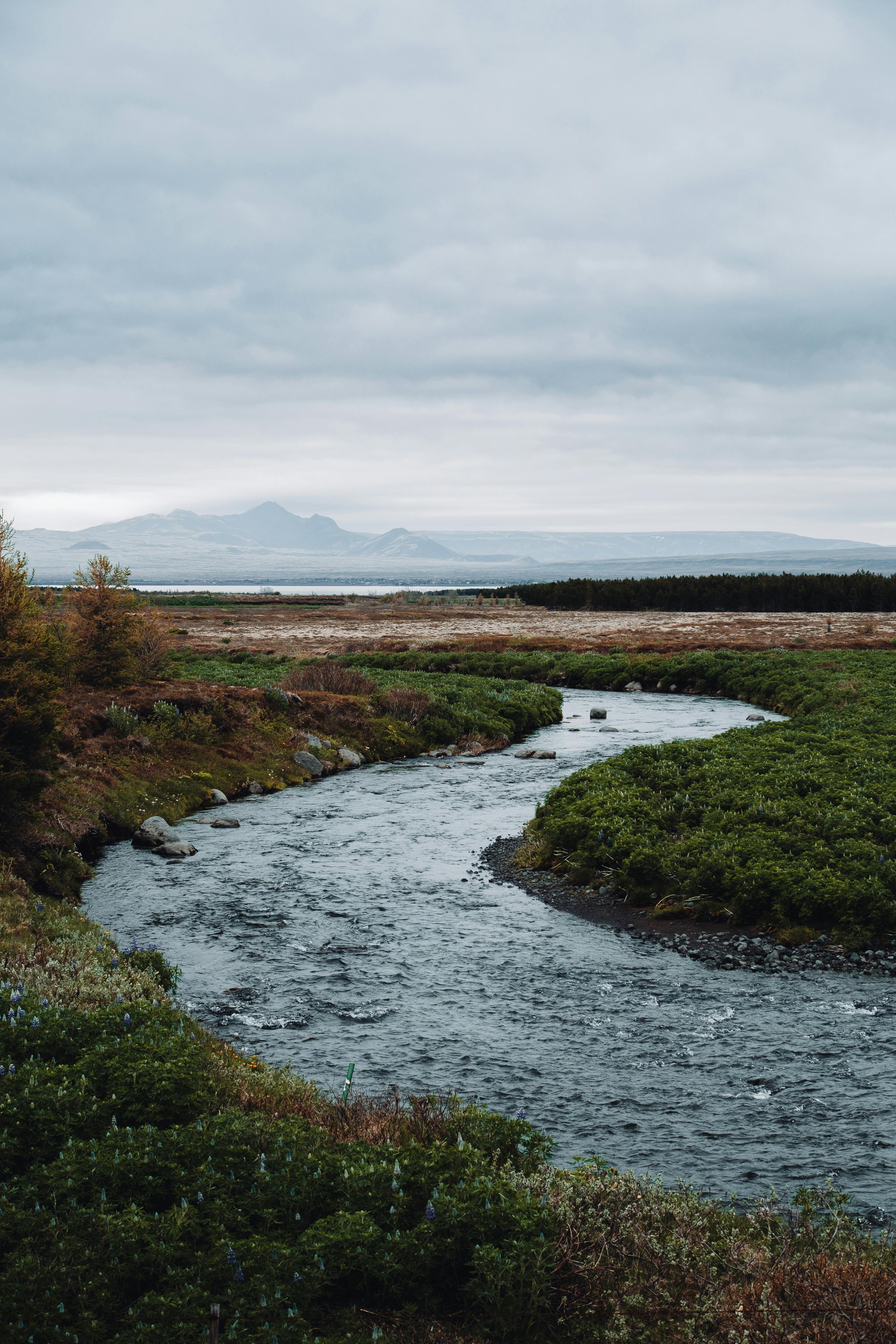 Grass Greenscreen Photos, Download The BEST Free Grass Greenscreen ...