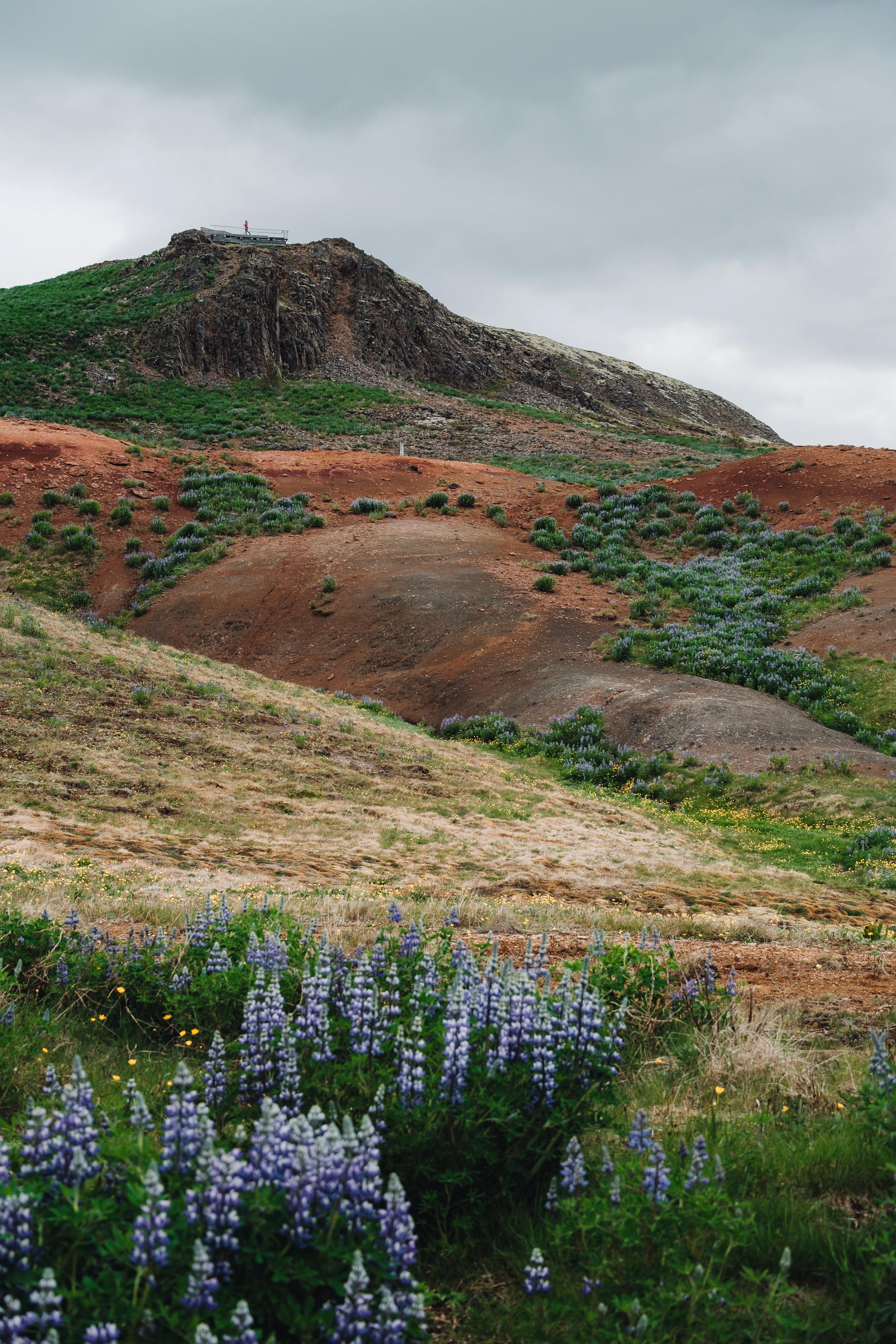 Nature Scapes Photos, Download The BEST Free Nature Scapes Stock Photos ...