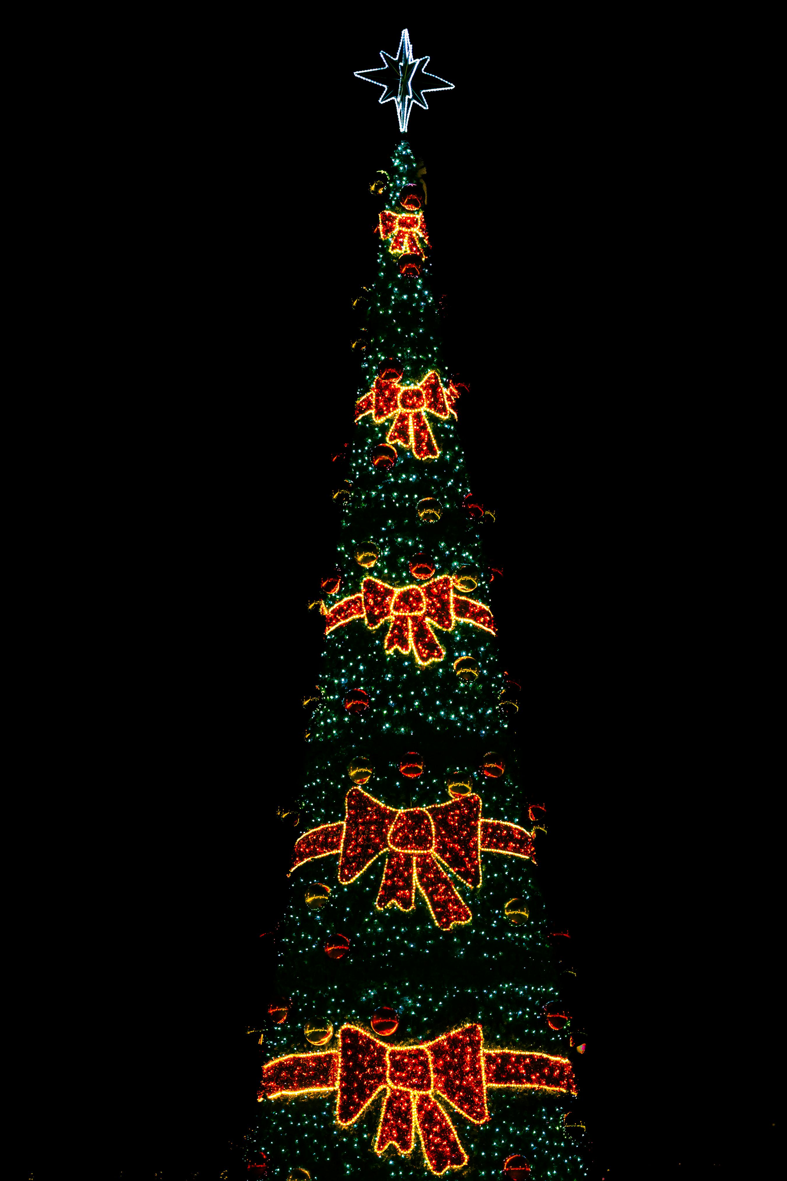 Illuminated Christmas Tree at Night · Free Stock Photo