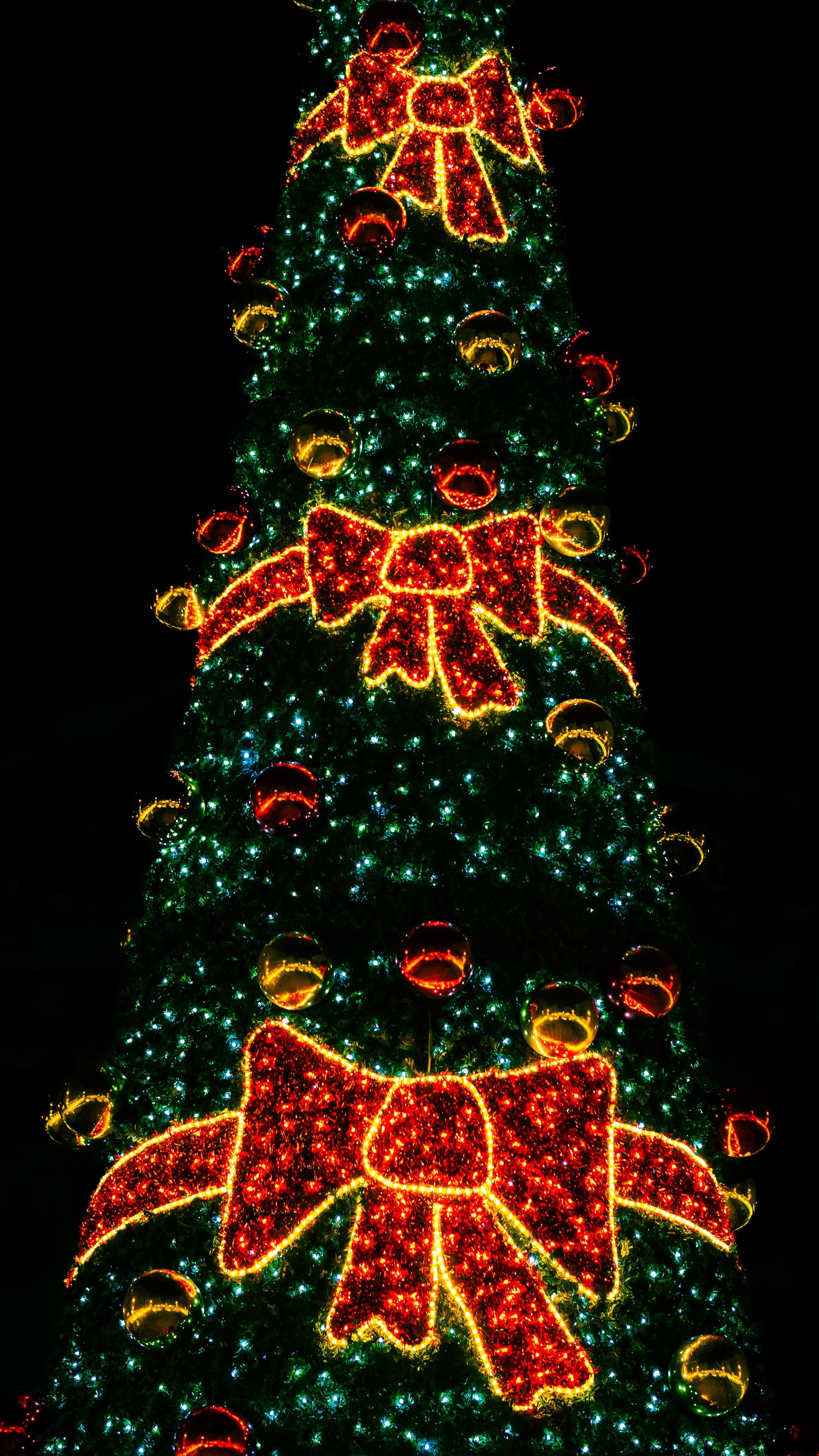 Photo of Christmas Tree During Night · Free Stock Photo