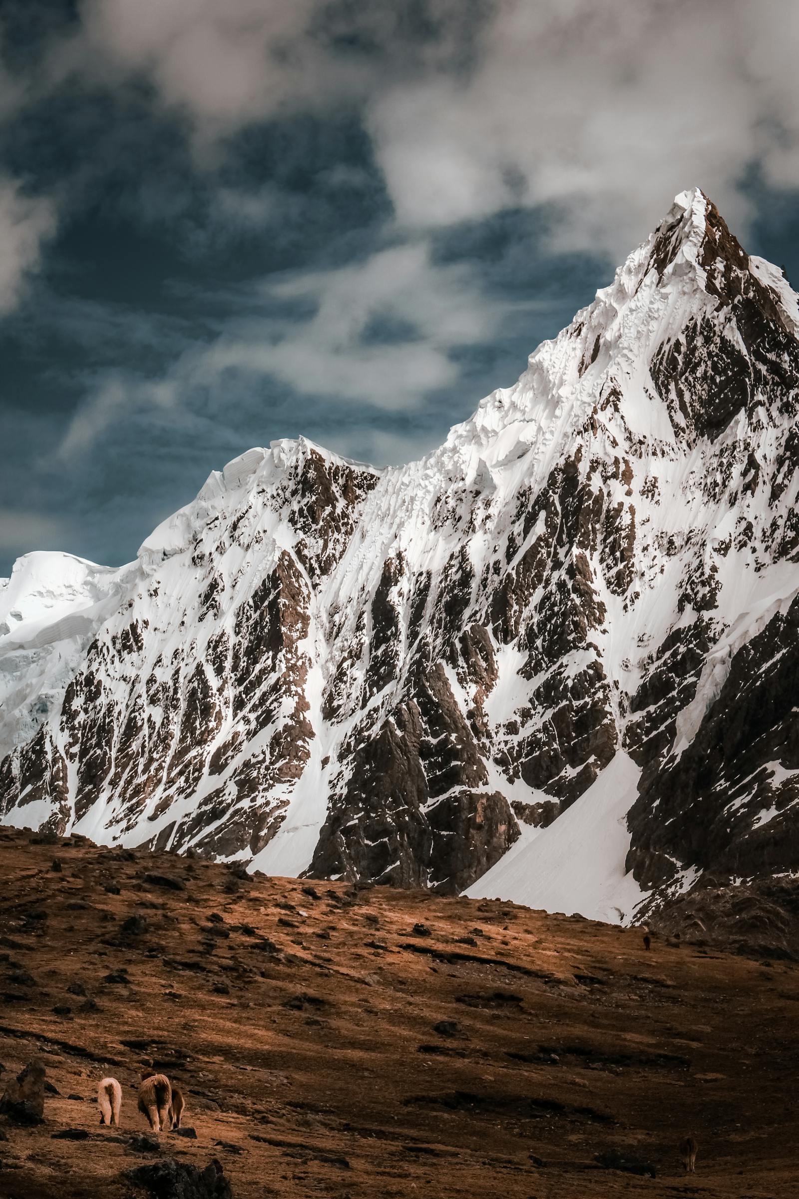 Mountains Animated Photos, Download The BEST Free Mountains Animated ...