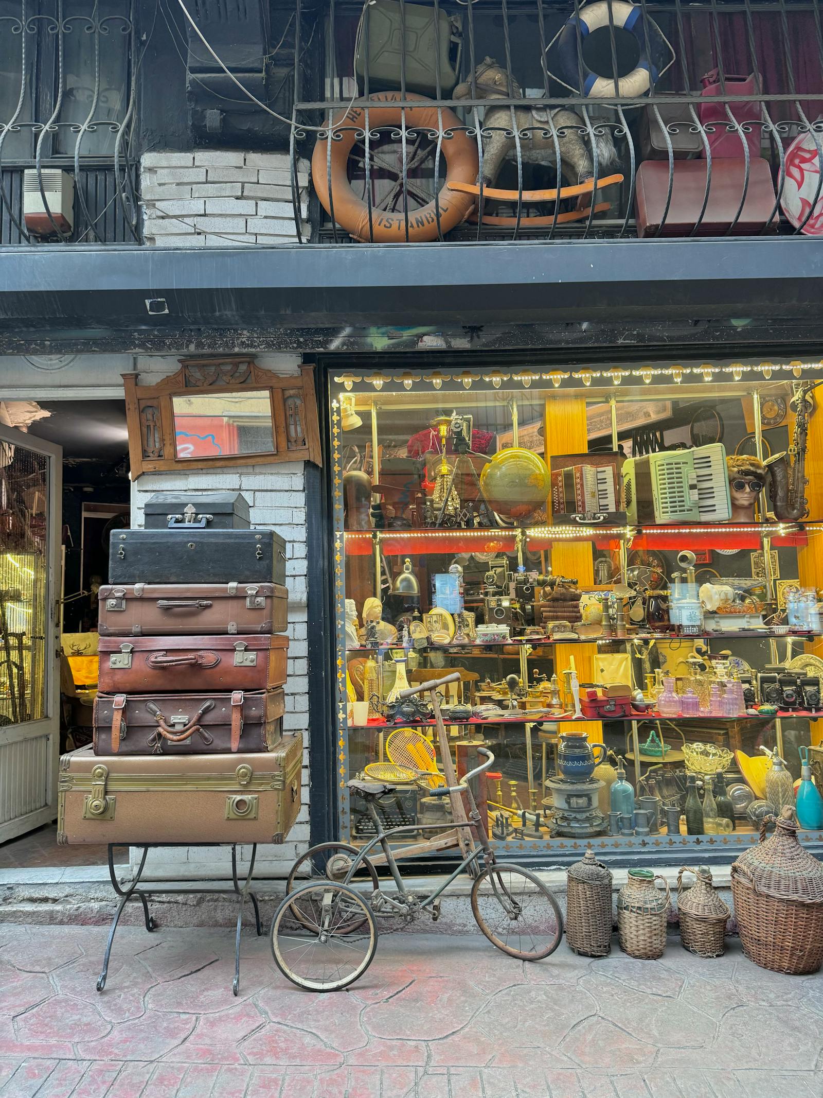 Store Insekter Photos, Download The BEST Free Store Insekter Stock ...