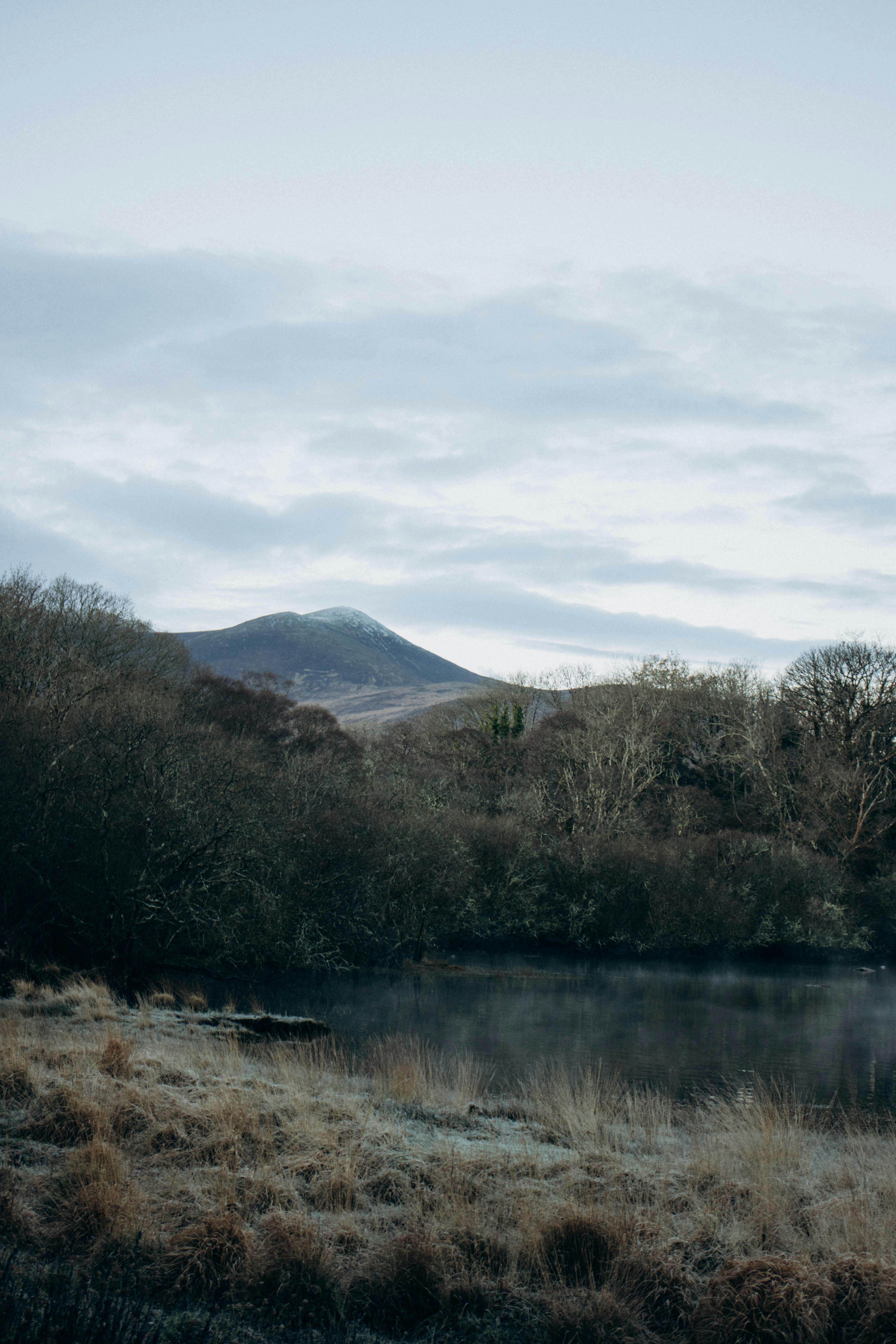 Distant Bushes And Lake Photos, Download The BEST Free Distant Bushes ...