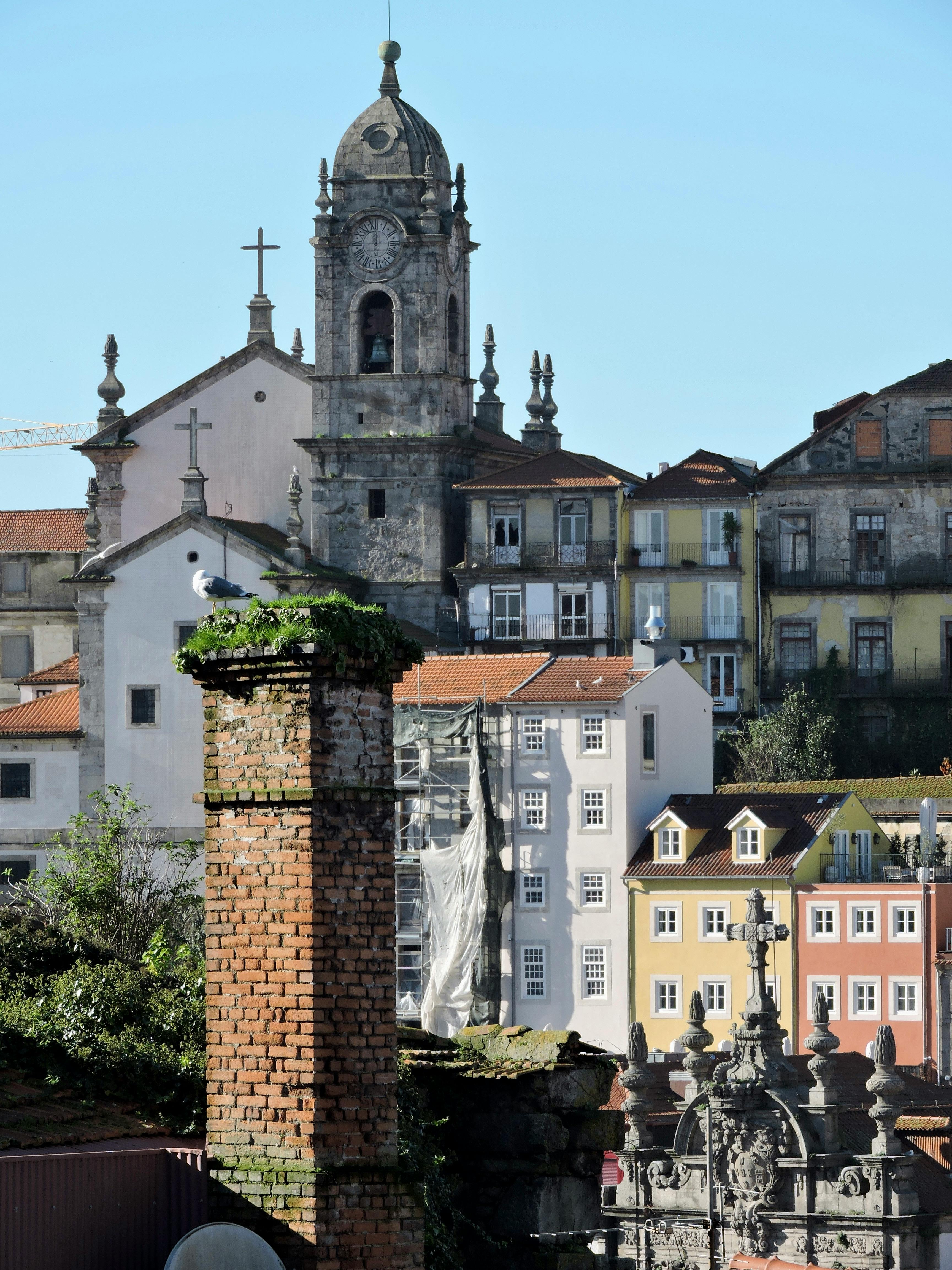 1956 Year Old Photos, Download The BEST Free 1956 Year Old Stock Photos ...