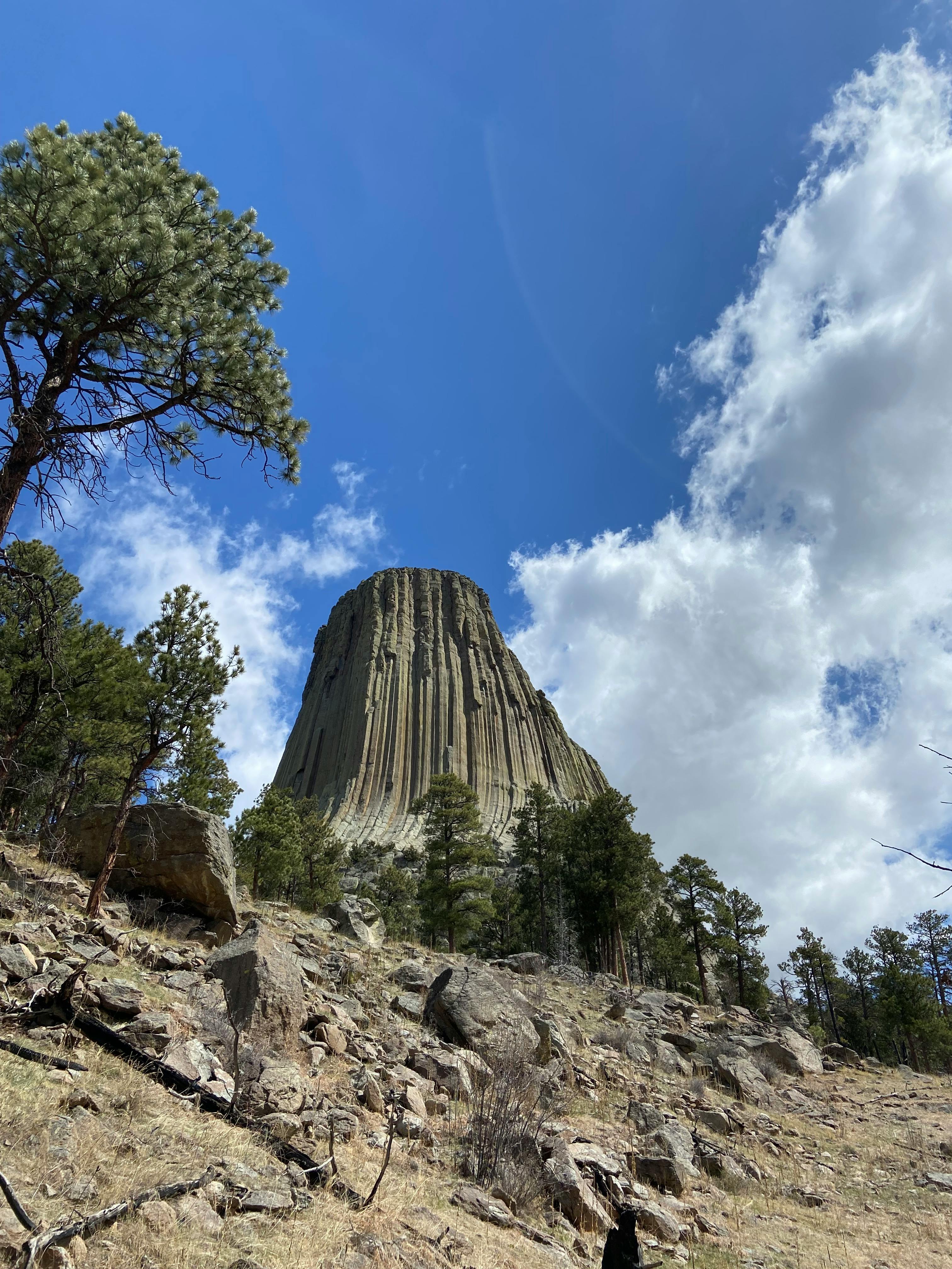 Devils Tower Photos, Download The BEST Free Devils Tower Stock Photos ...