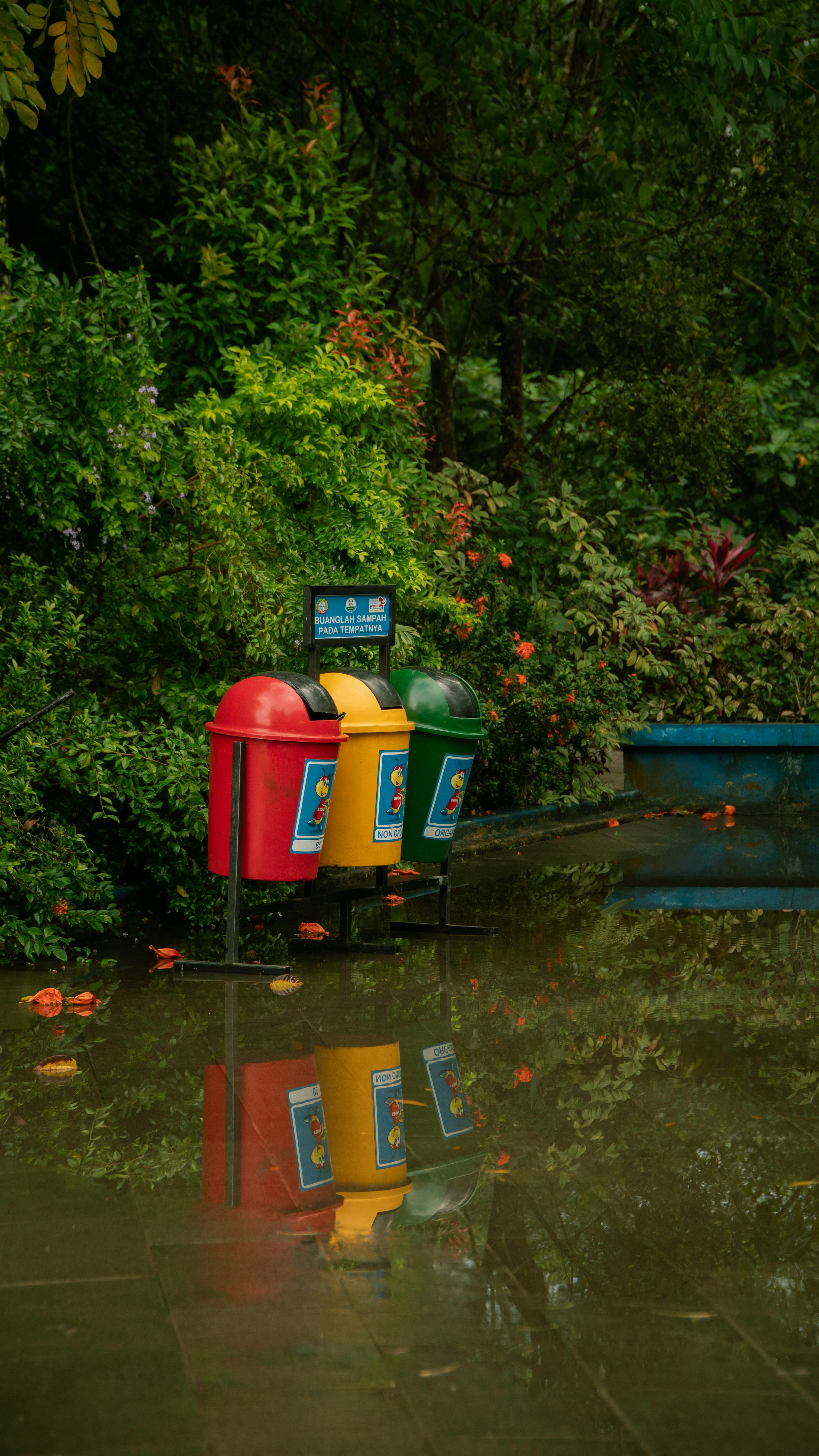Colorful Wastebaskets in a Park · Free Stock Photo