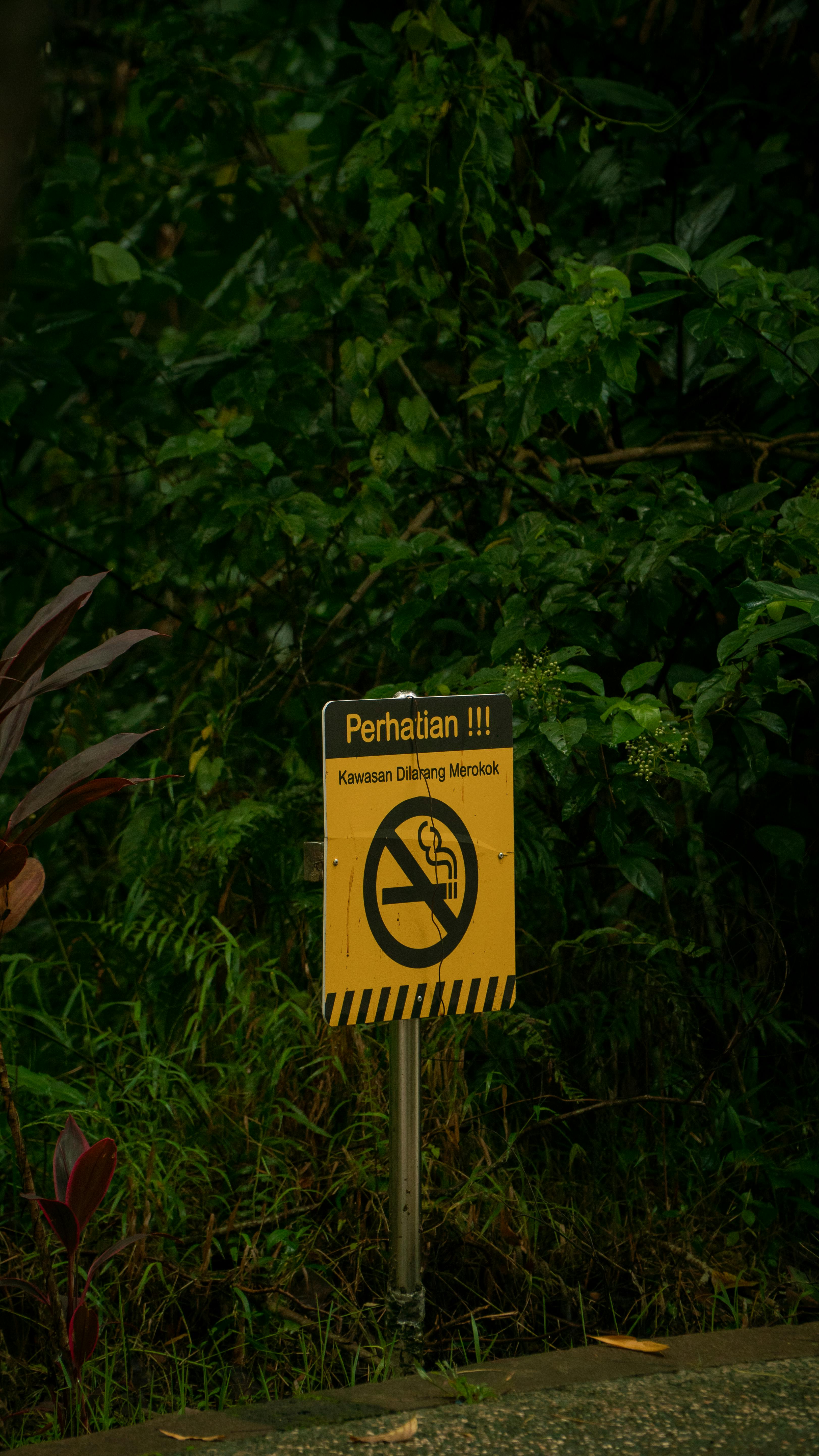A Sign Forbidding Smoking Standing by the Bushes · Free Stock Photo