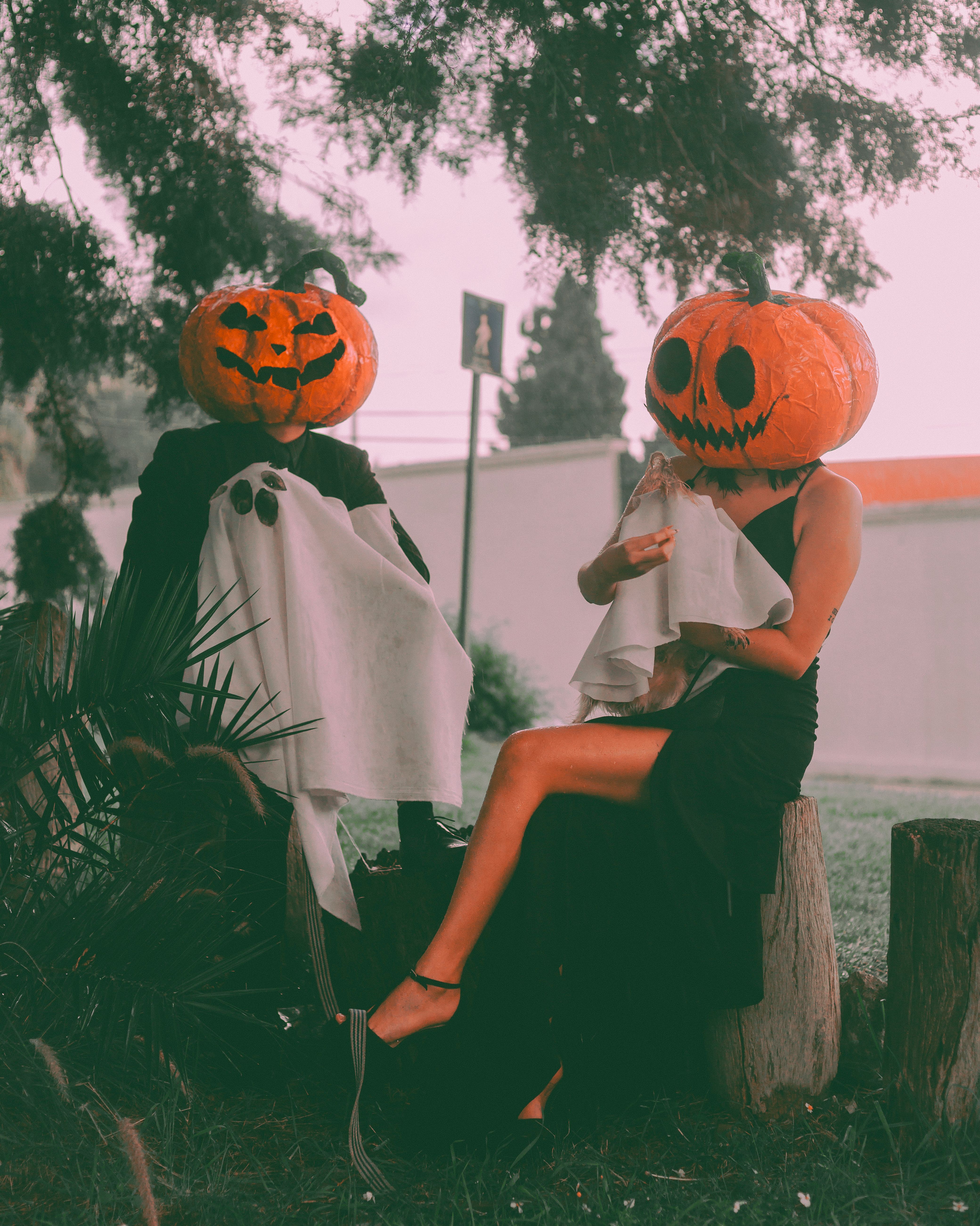 People Wearing Pumpkins on Their Heads Sitting Outside · Free Stock Photo
