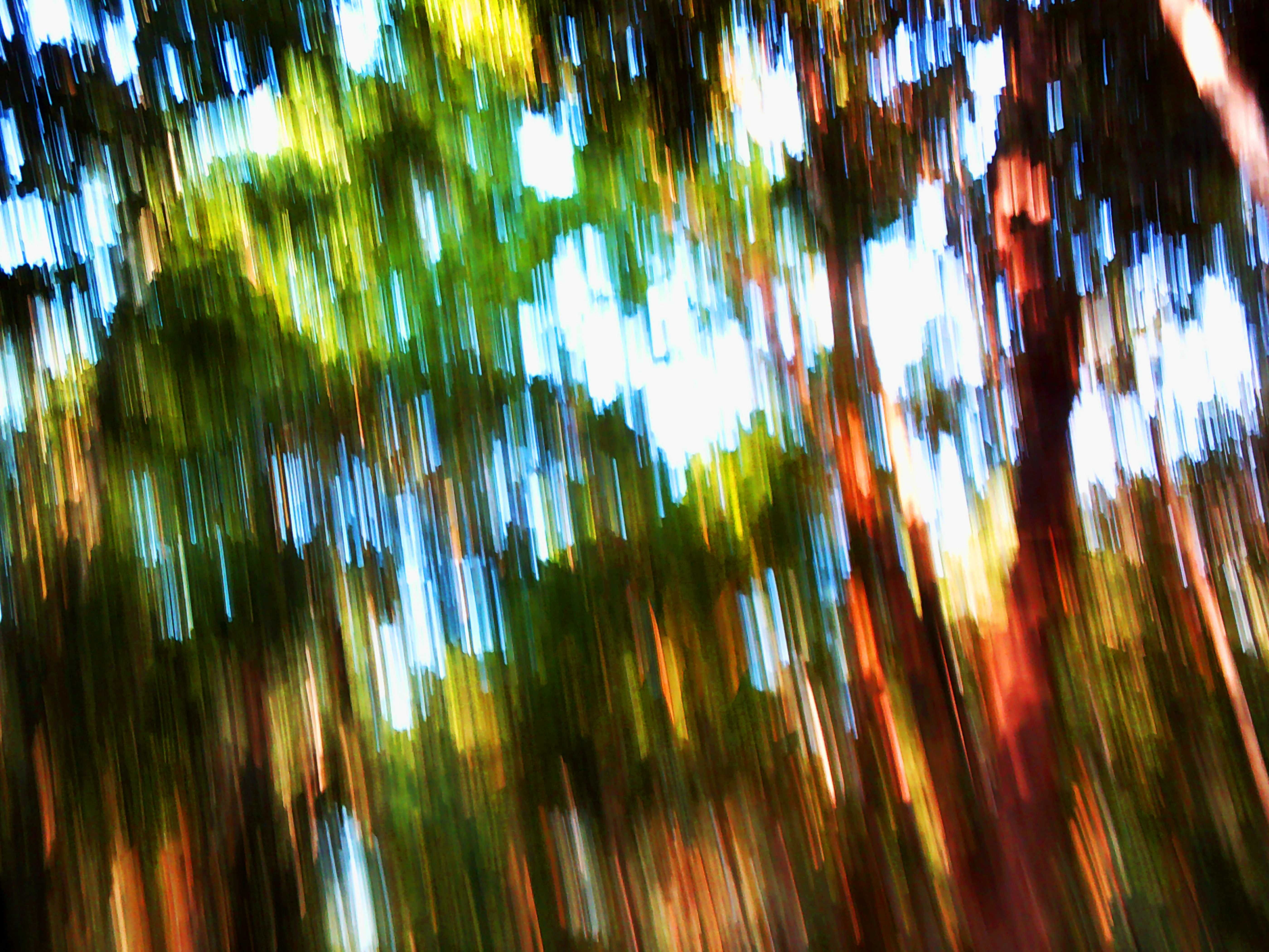 Ryoka Vertikal - Photography