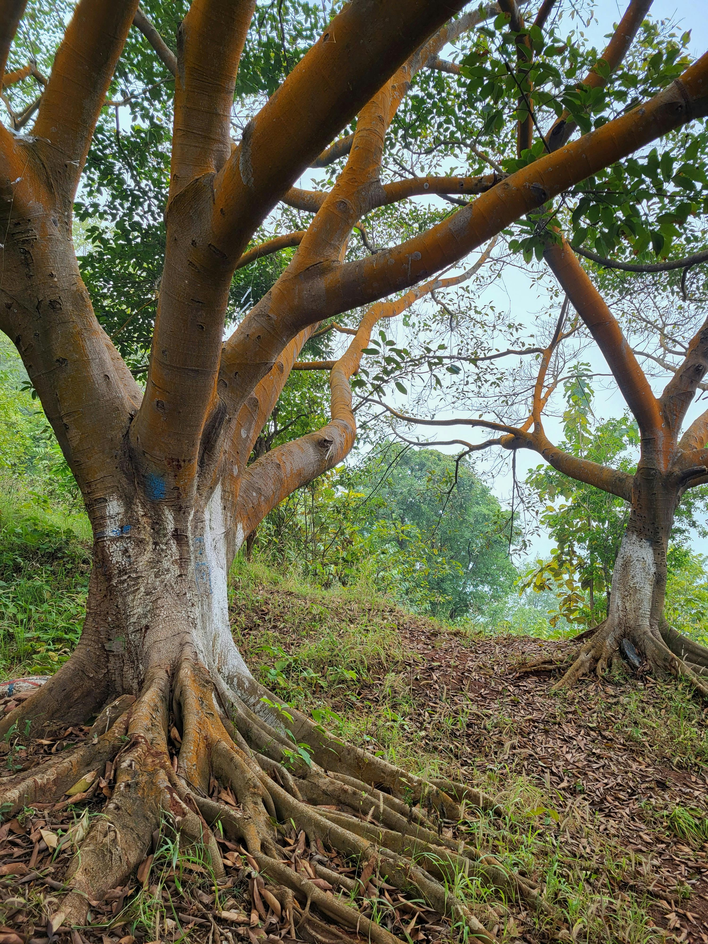 Negative Environment Photos, Download The BEST Free Negative ...